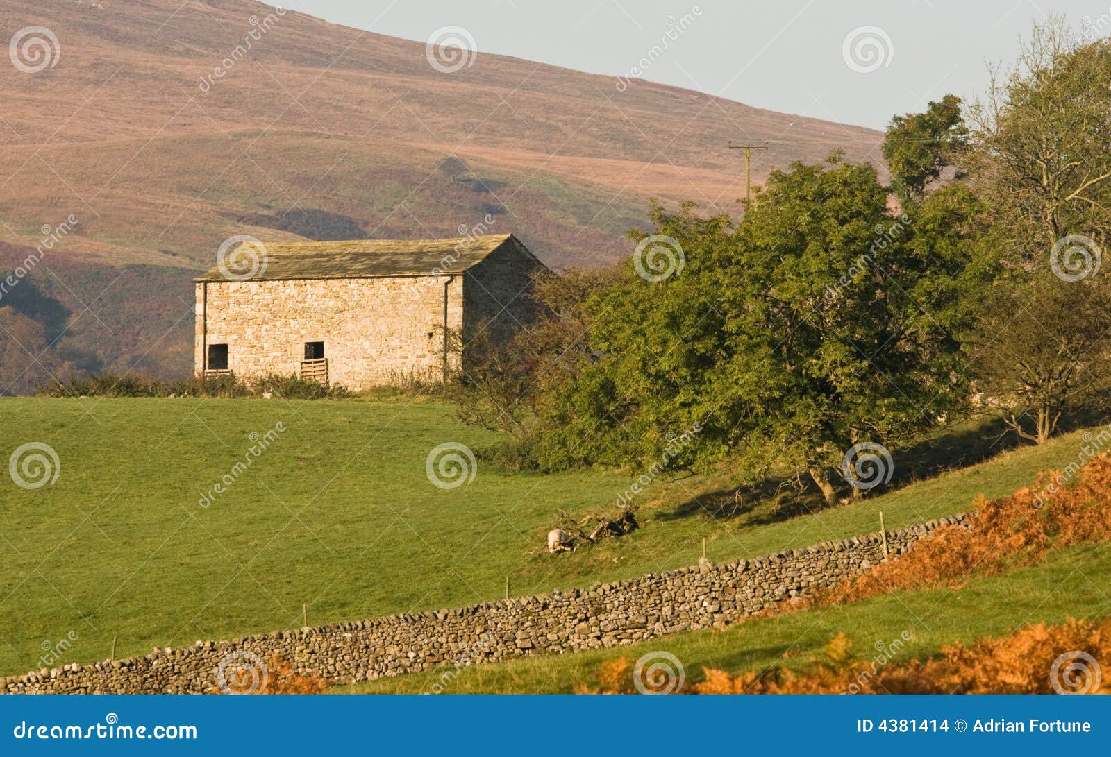 Barn in Yorkshire Dales stock photo. Image of pasture - 4381414
