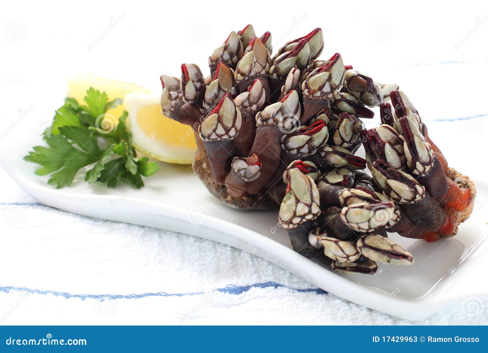 Barnacle stock image. Image of vertical, seafood, food - 17429963