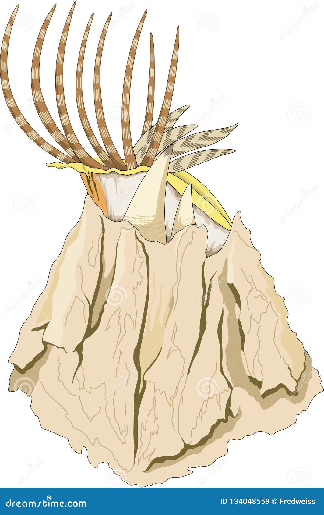 Barnacle Illustration stock vector. Illustration of fish - 134048559