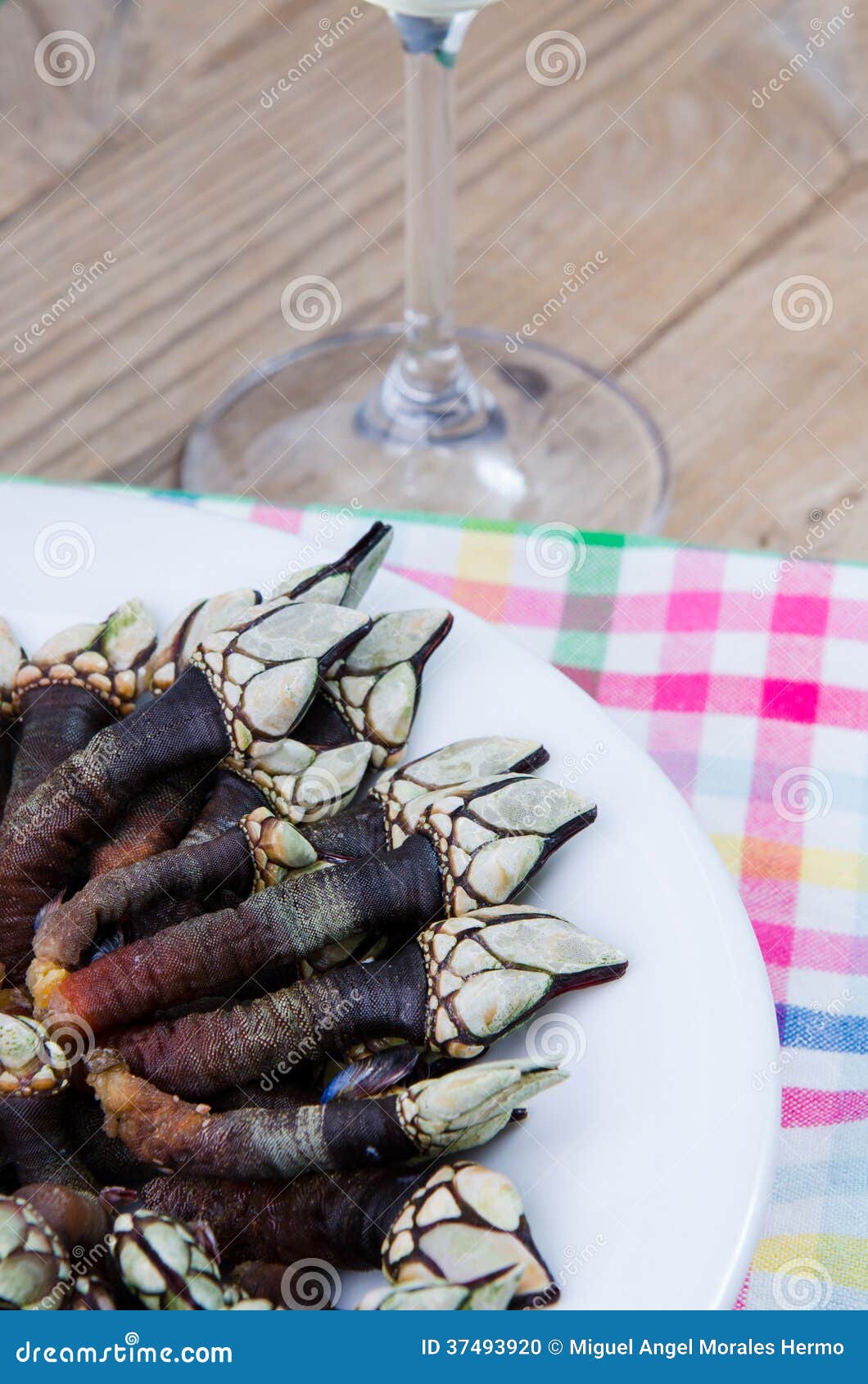 Barnacles stock photo. Image of water, meal, restaurant - 37493920