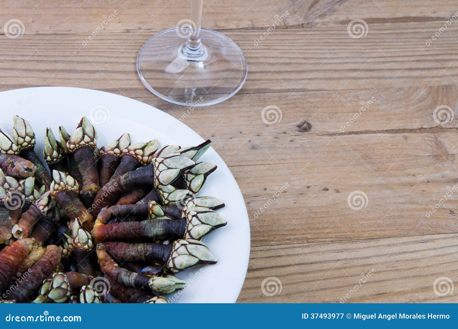 Barnacles stock image. Image of meal, spain, fresh, delicious - 37493977