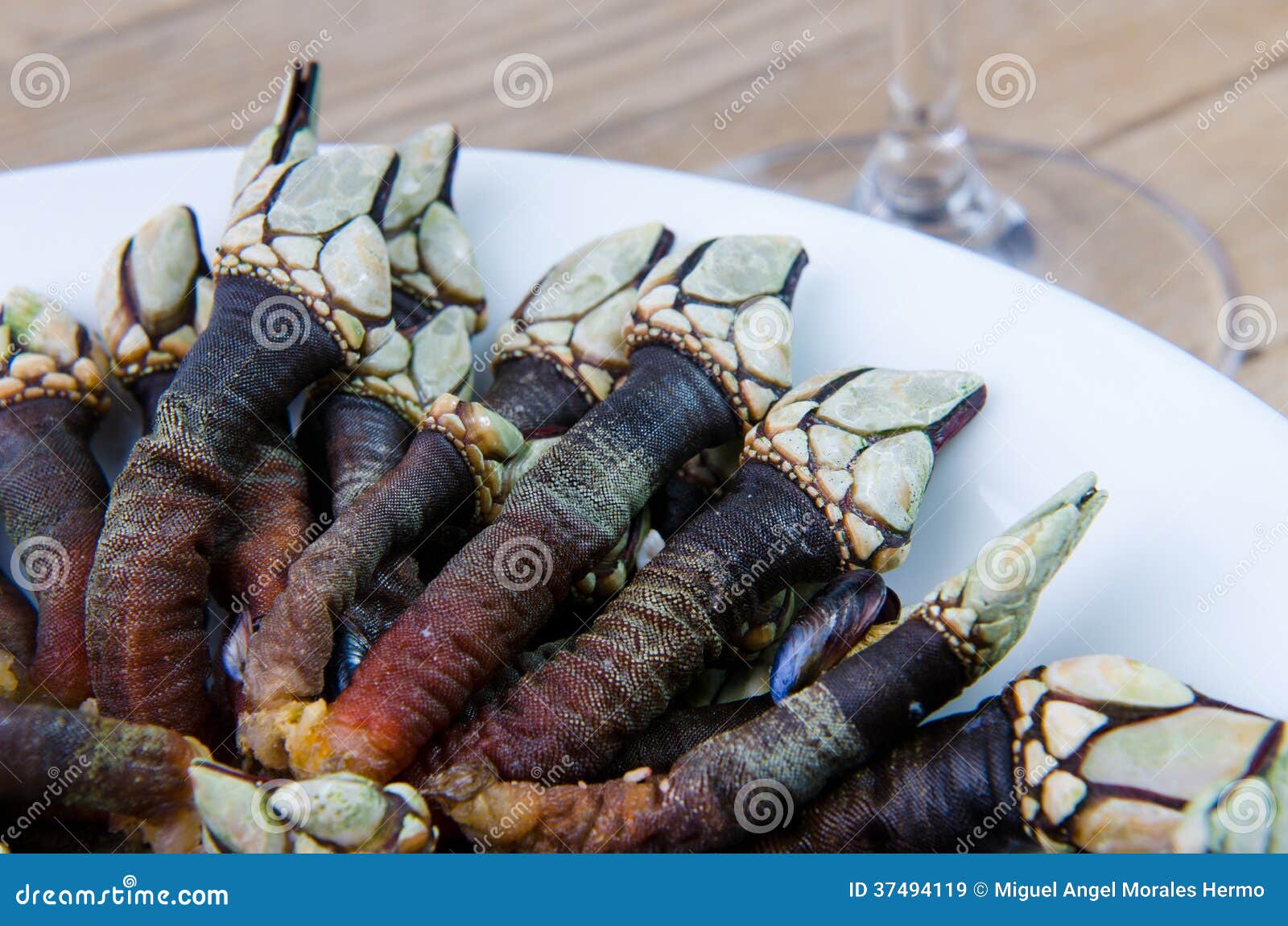 Barnacles stock image. Image of barnacle, meal, spain - 37494119