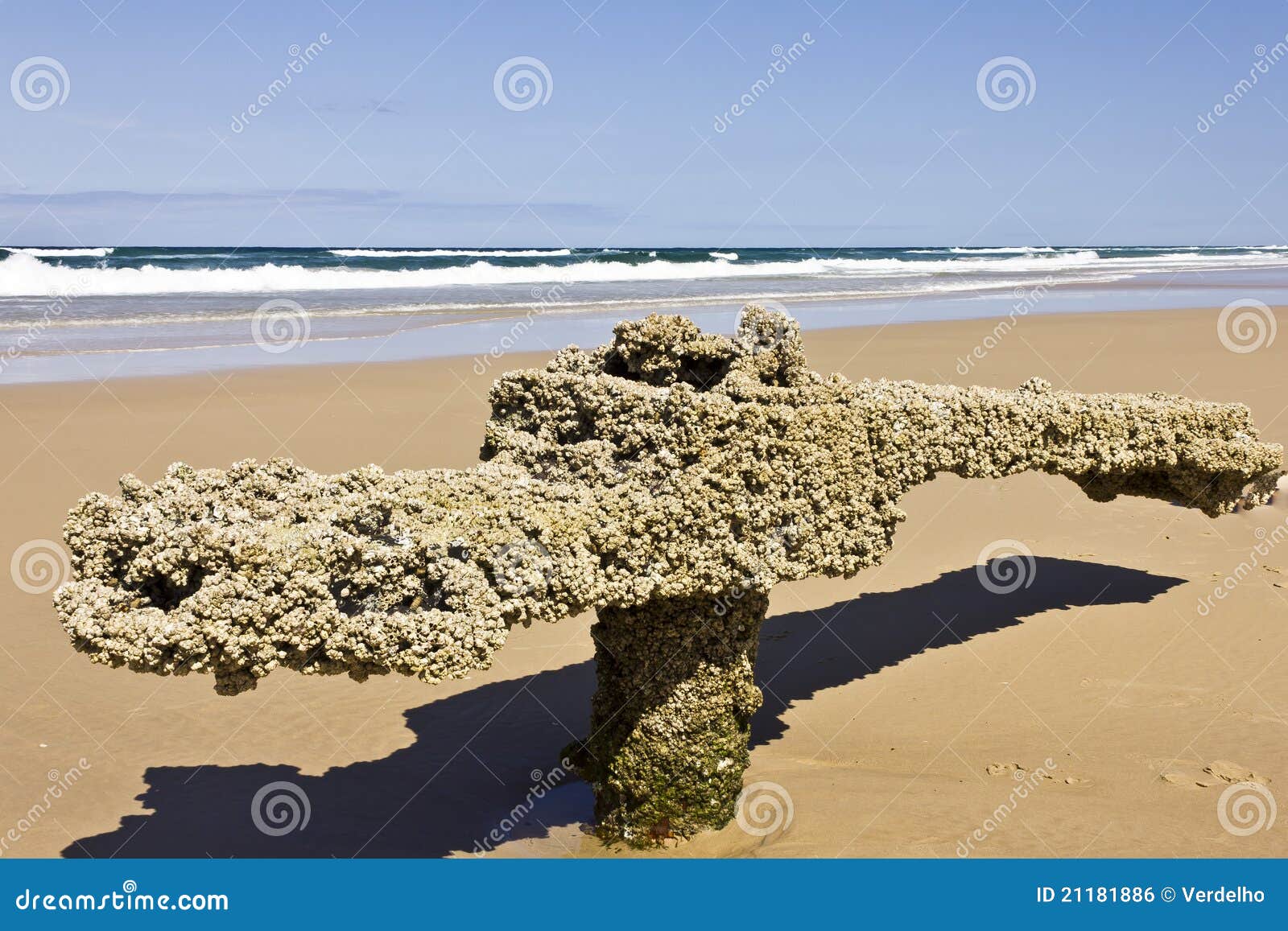 Barnacles Que Encrusting Os Encaixes Oxidados Foto de Stock - Imagem de ...