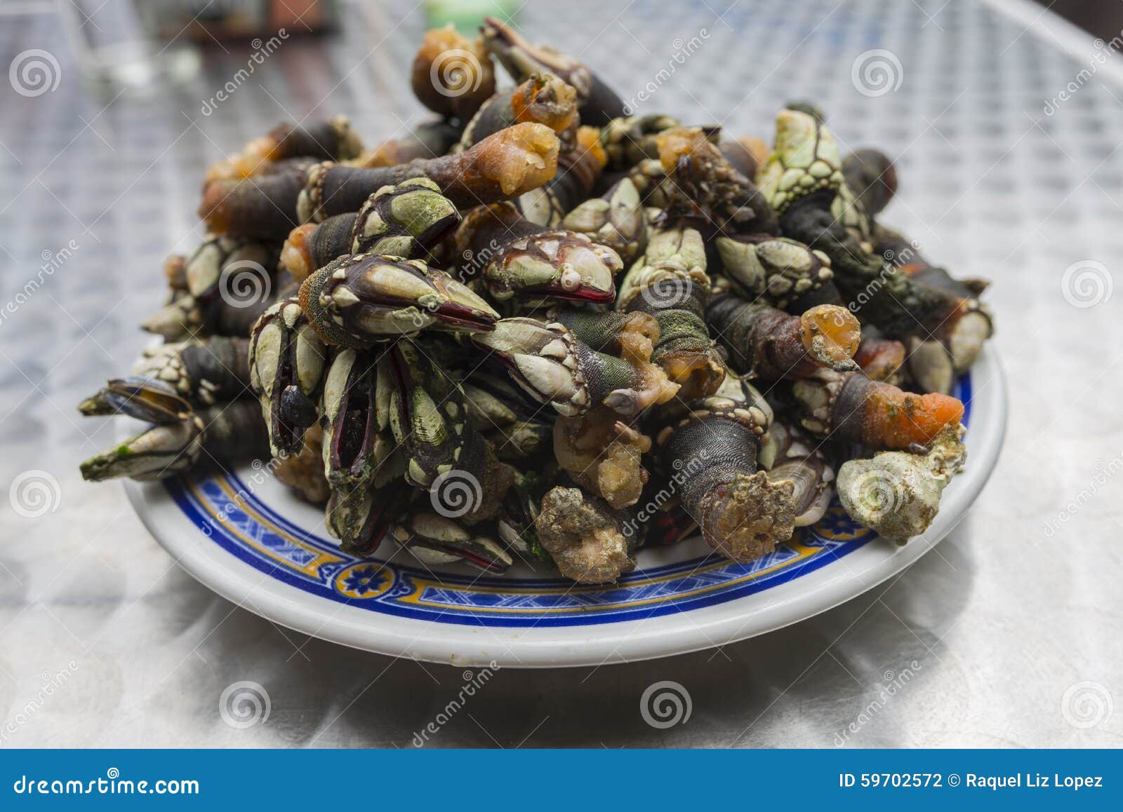 Barnacles. stock photo. Image of expensive, galician - 59702572