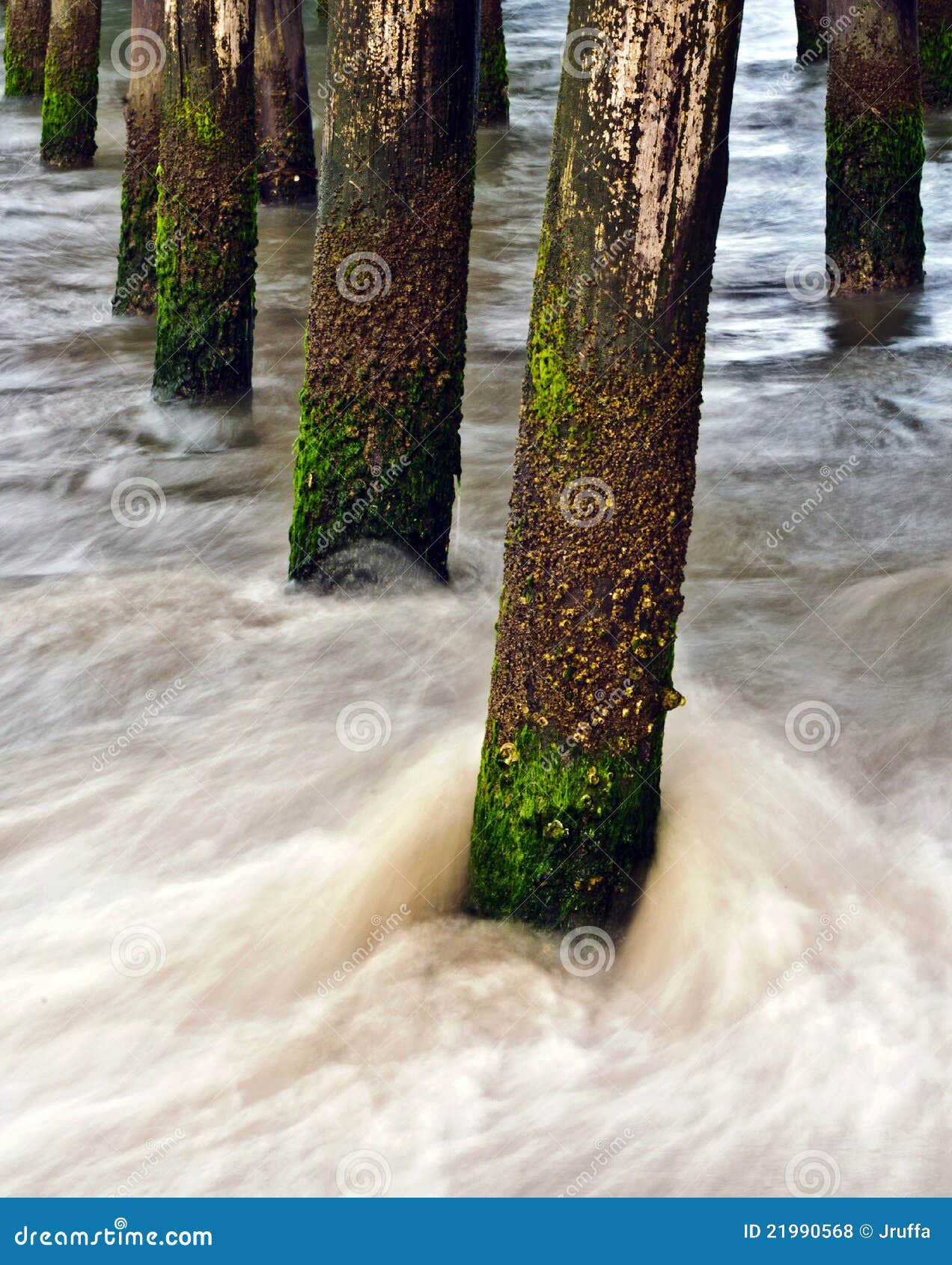 Barnacles on a Weathered Pier Piling Stock Photo - Image of wave, wood ...