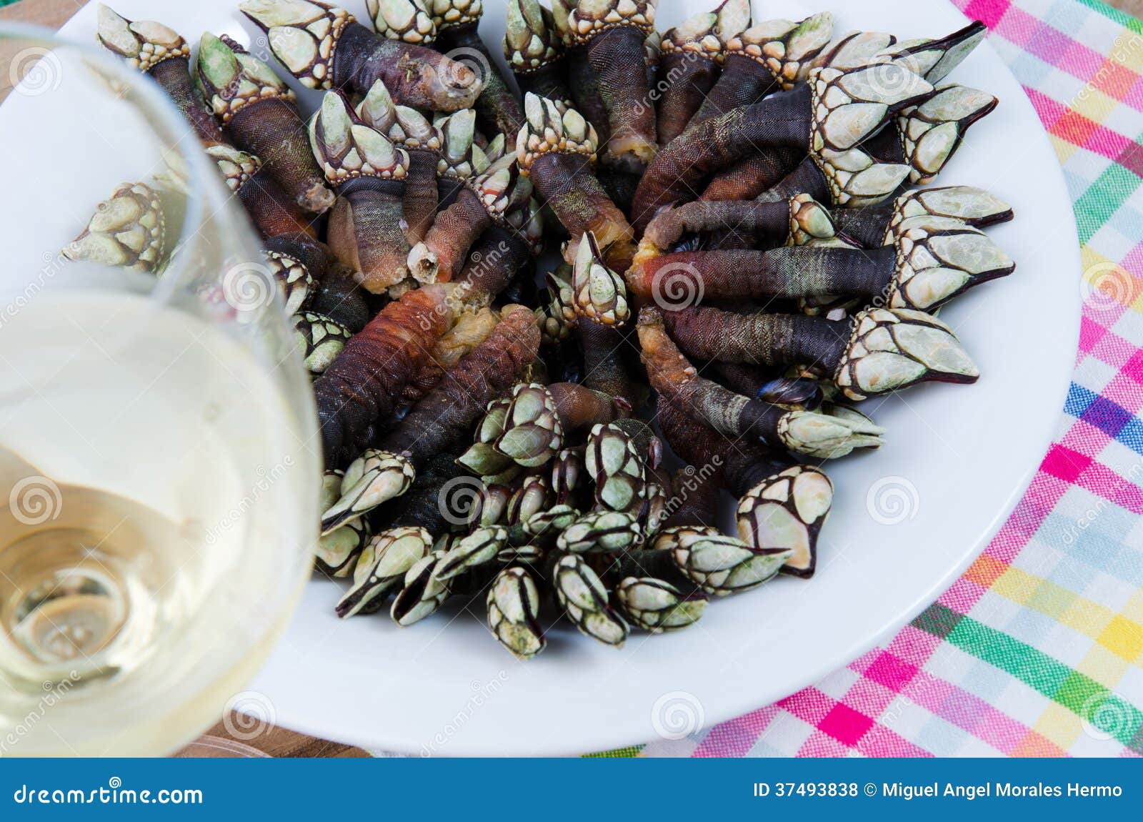 Barnacles and wine stock photo. Image of meal, dinner - 37493838