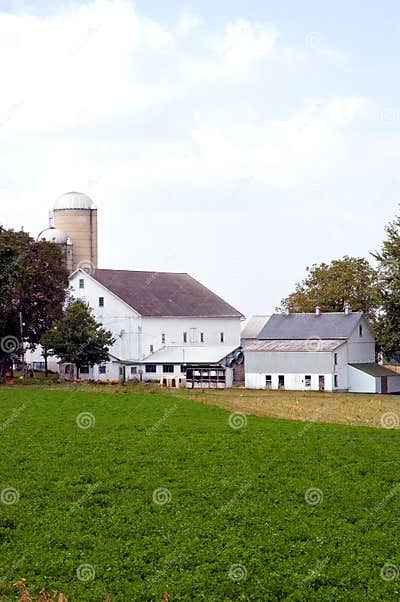 Barns and silos on farm stock image. Image of amish, structure - 3404463