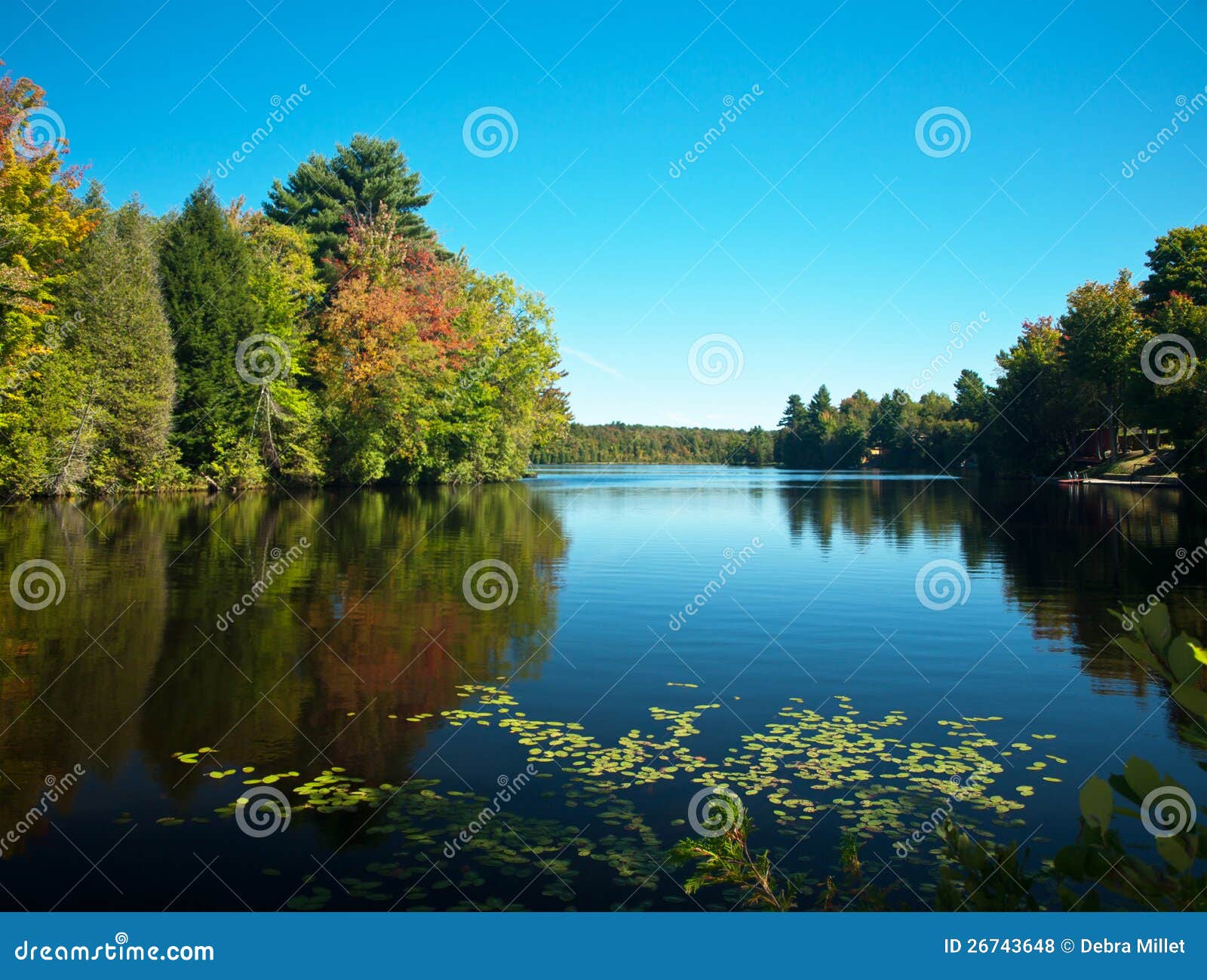 Barnum Pond,adirondack State Park Stock Photo - Image of pond, barnum ...