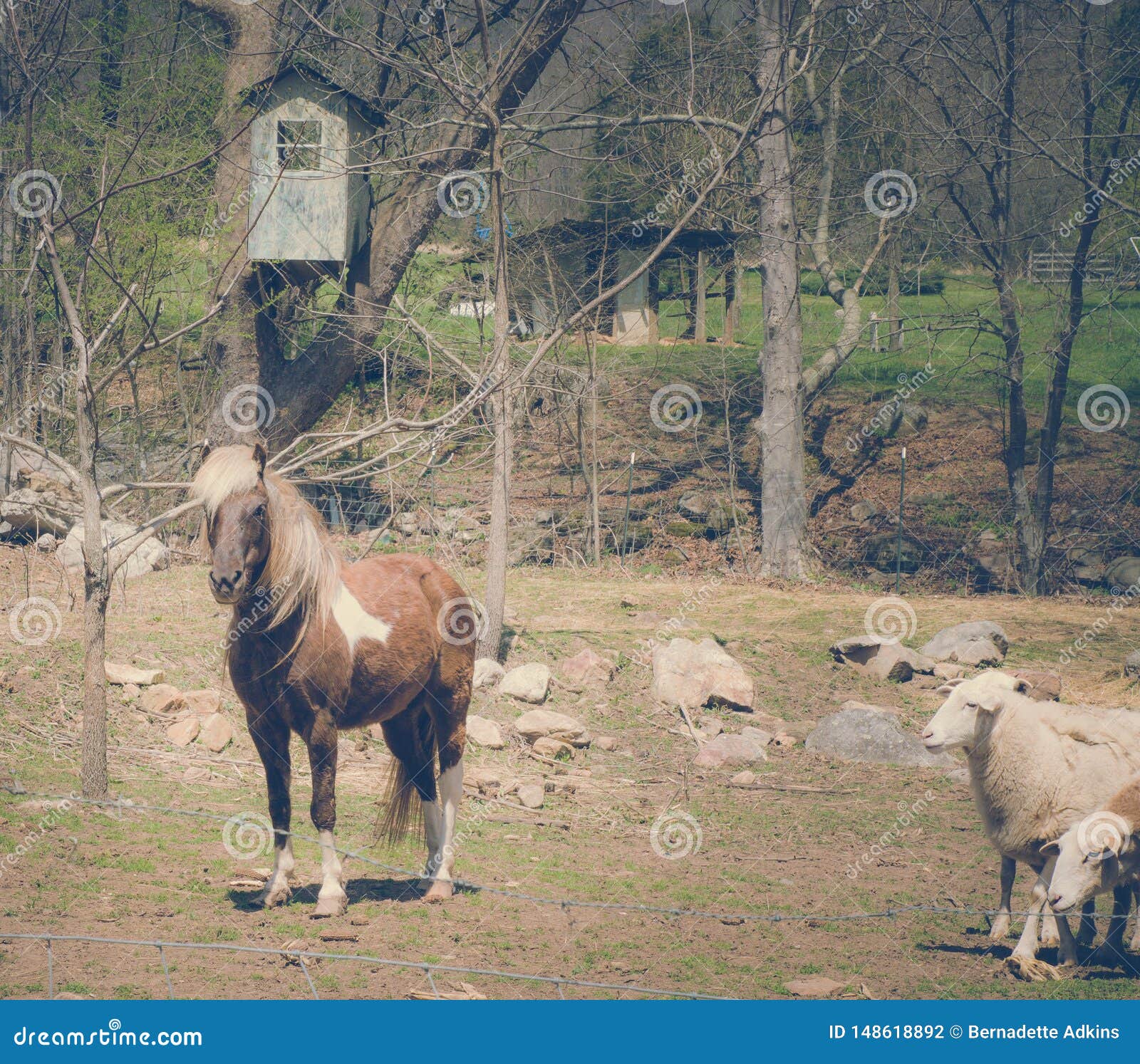 Mini Treehouse Stock Photos - Free & Royalty-Free Stock Photos from ...