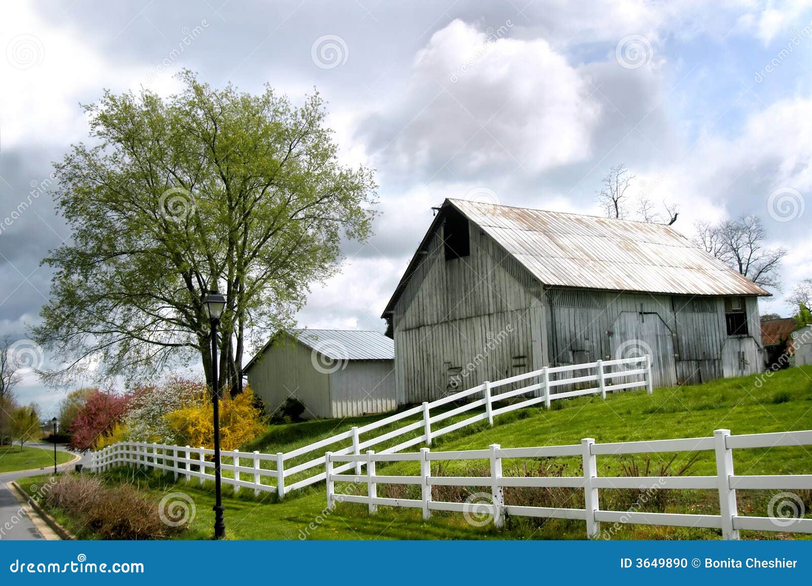 Barnyard in Suburbia stock photo. Image of green, grass - 3649890