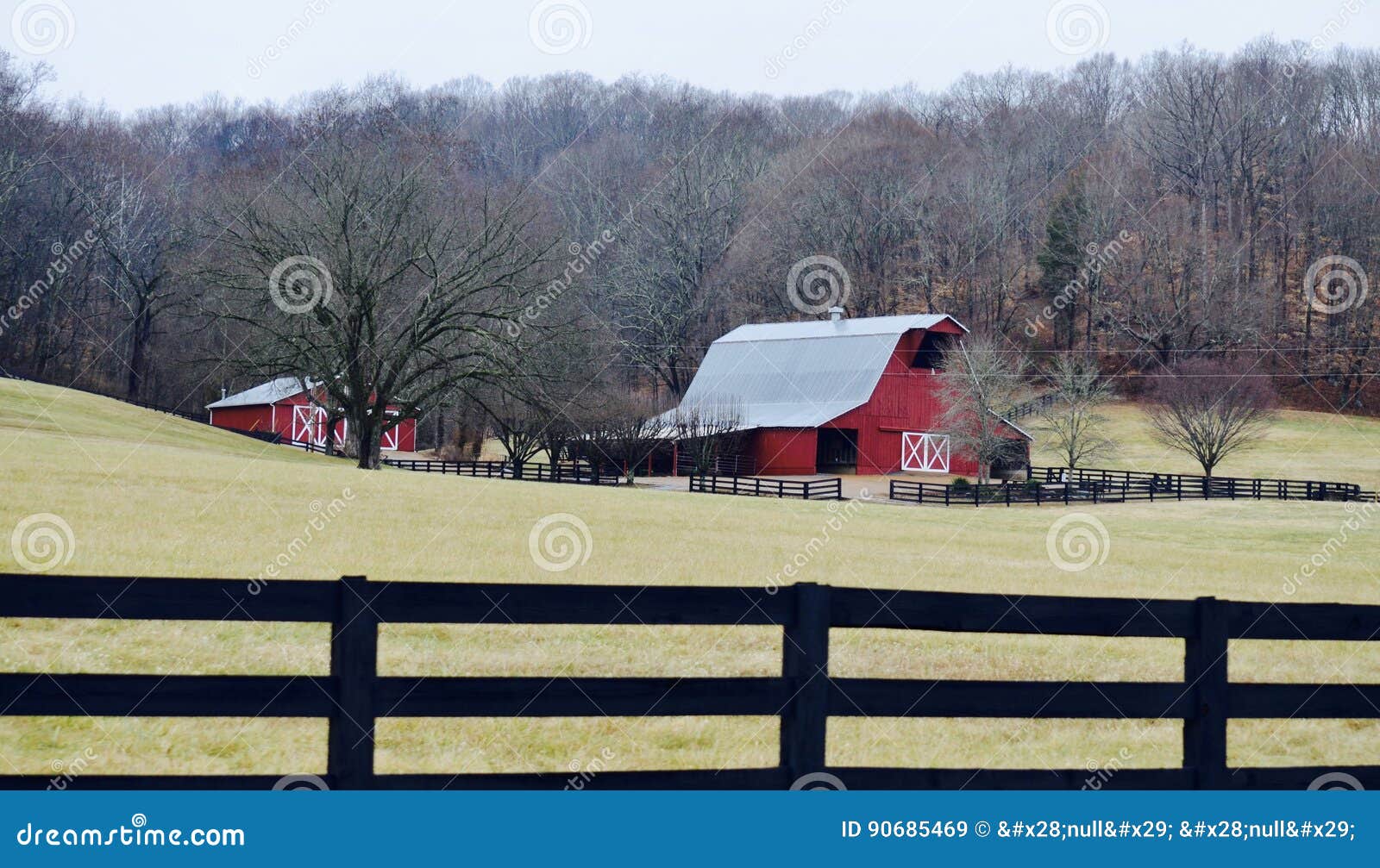 Barnyard stock image. Image of barnyard, ranch, farm - 90685469