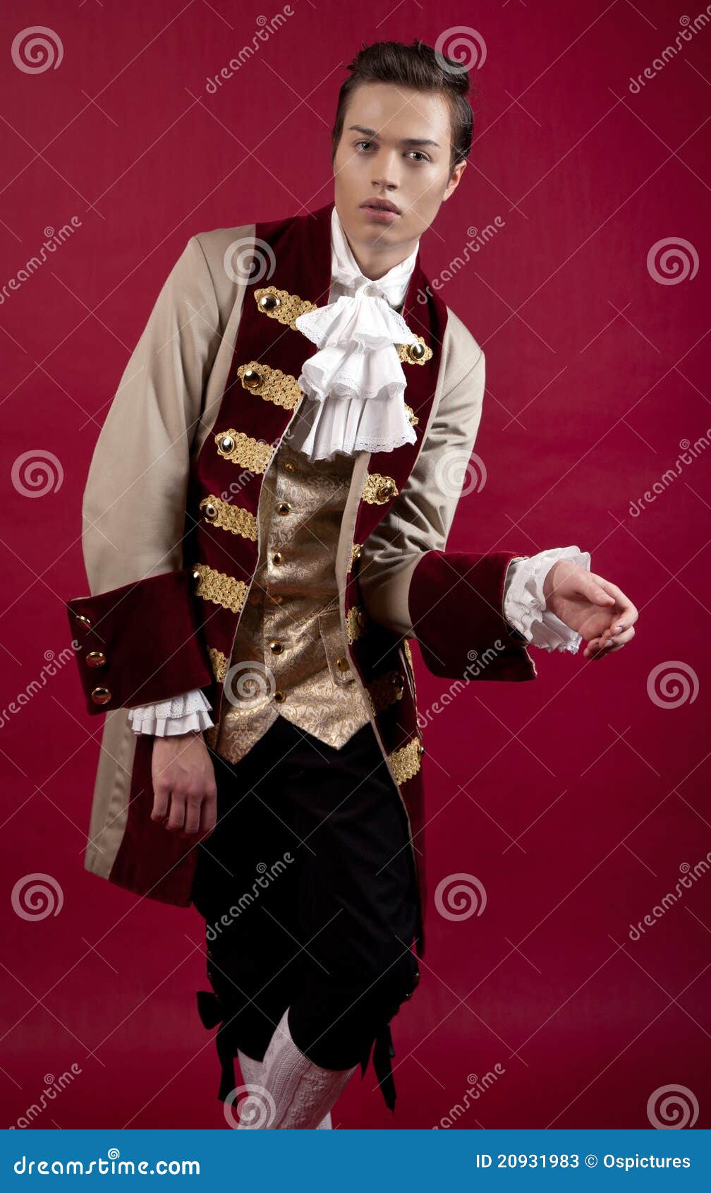 Baroque stock image. Image of grandee, handsome, elegant - 20931983
