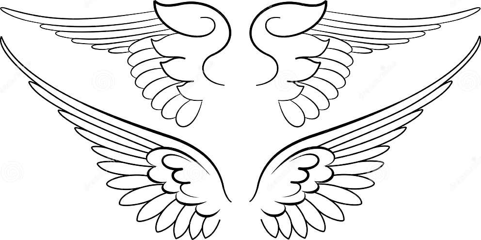 Baroque Wings in Calligraphy Stock Vector - Illustration of black ...