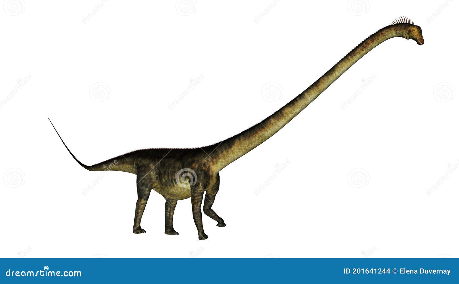 Barosaurus Cartoons, Illustrations & Vector Stock Images - 199 Pictures ...