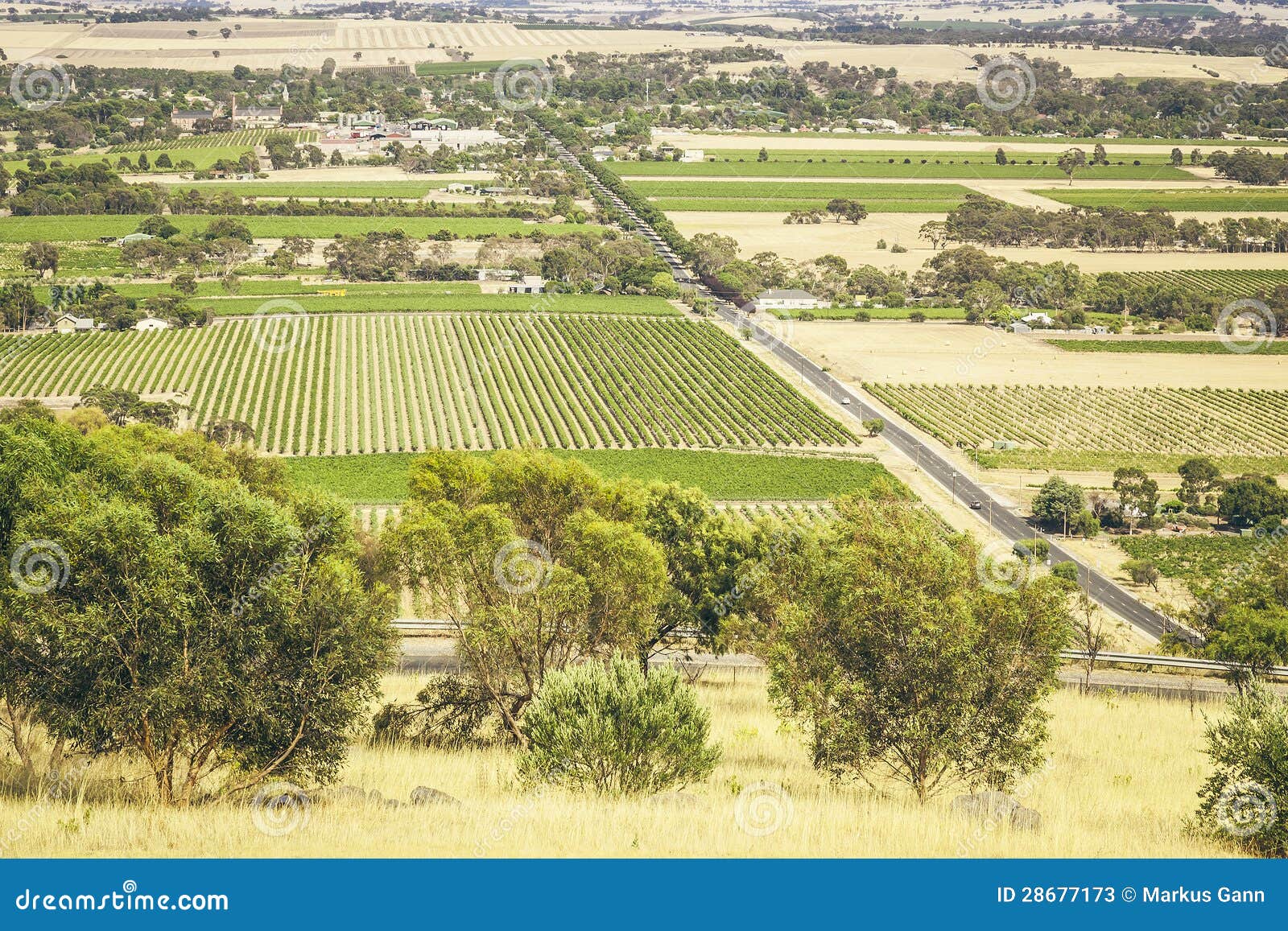 Barossa Valley stock image. Image of saturated, adelaide - 28677173