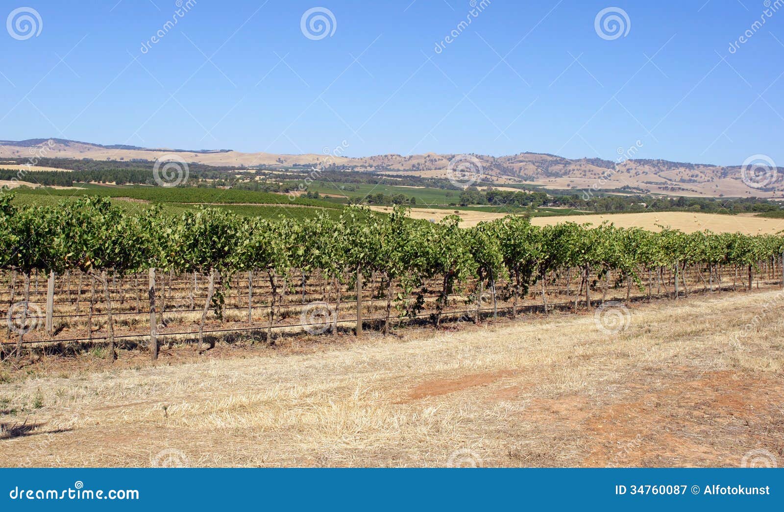Barossa Valley, Australia stock image. Image of rural - 34760087