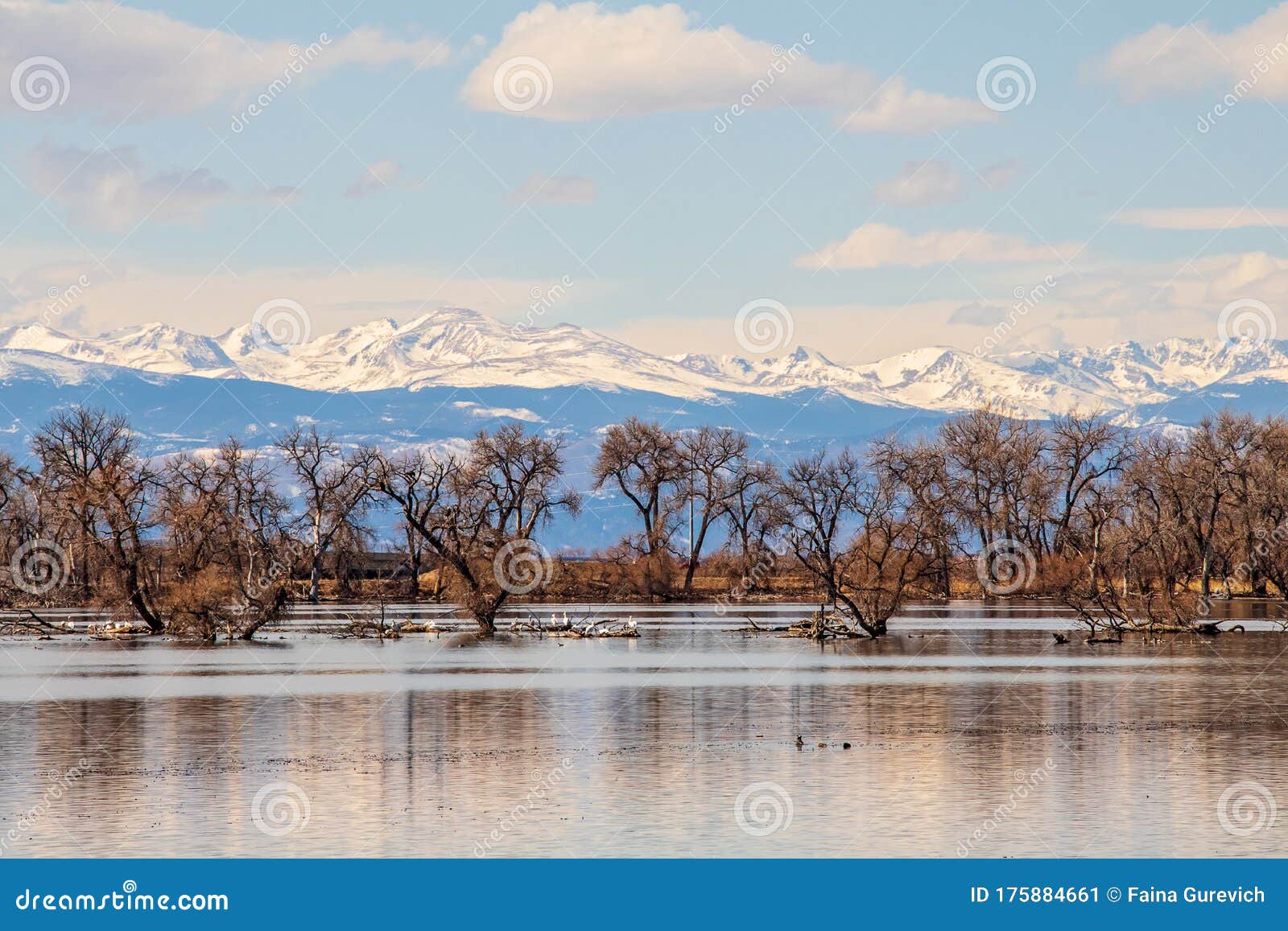 Barr Lake State Park, Colorado Stock Image - Image of nature, arsenal ...