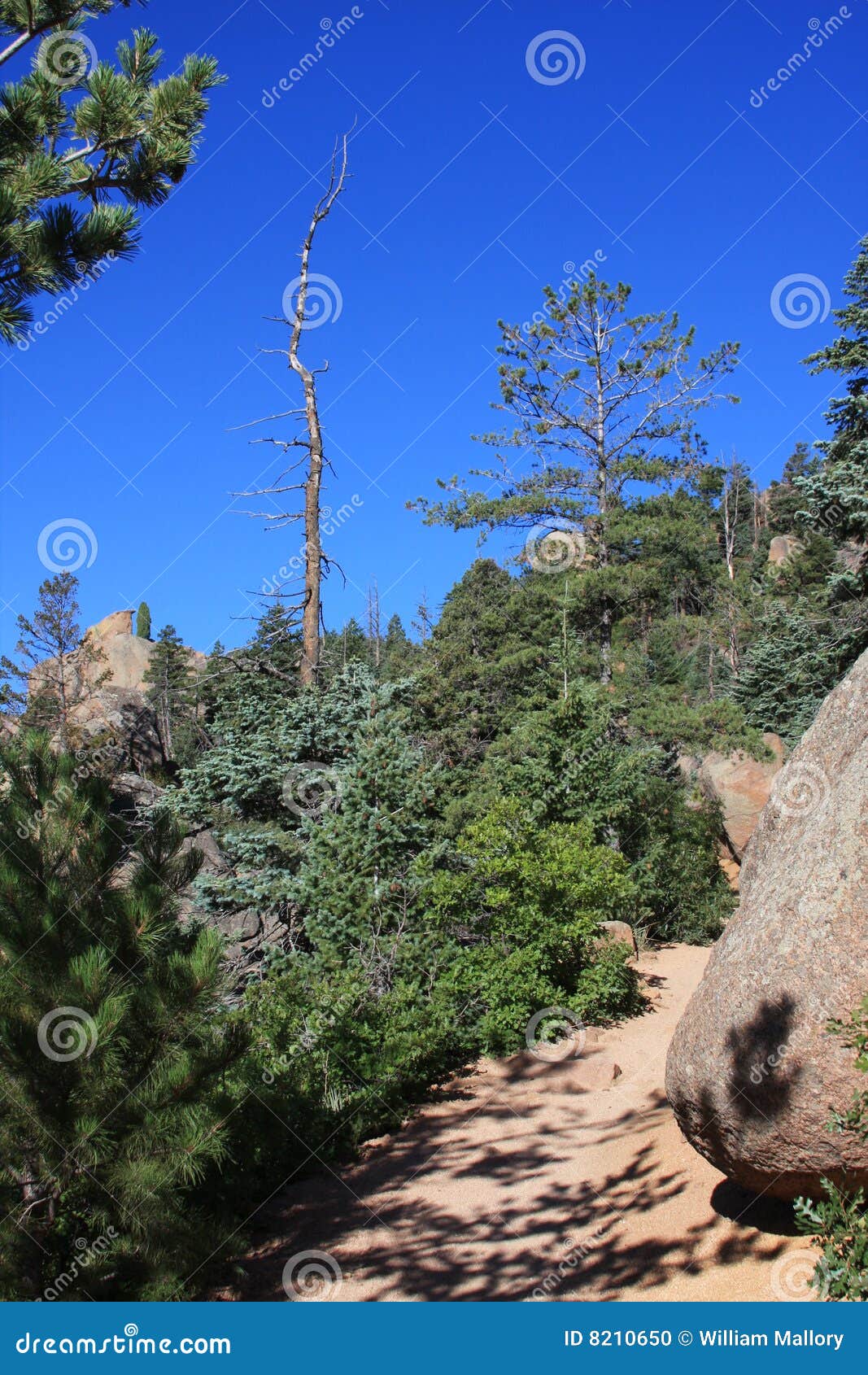 Barr Trail, Pikes Peak stock photo. Image of peak, hill - 8210650
