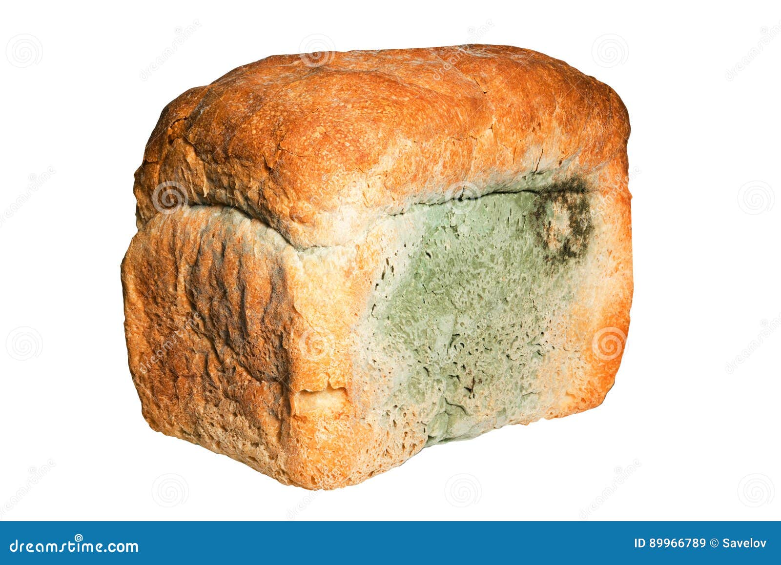 Barra De Pan Con El Moho Aislado Imagen de archivo - Imagen de proceso ...