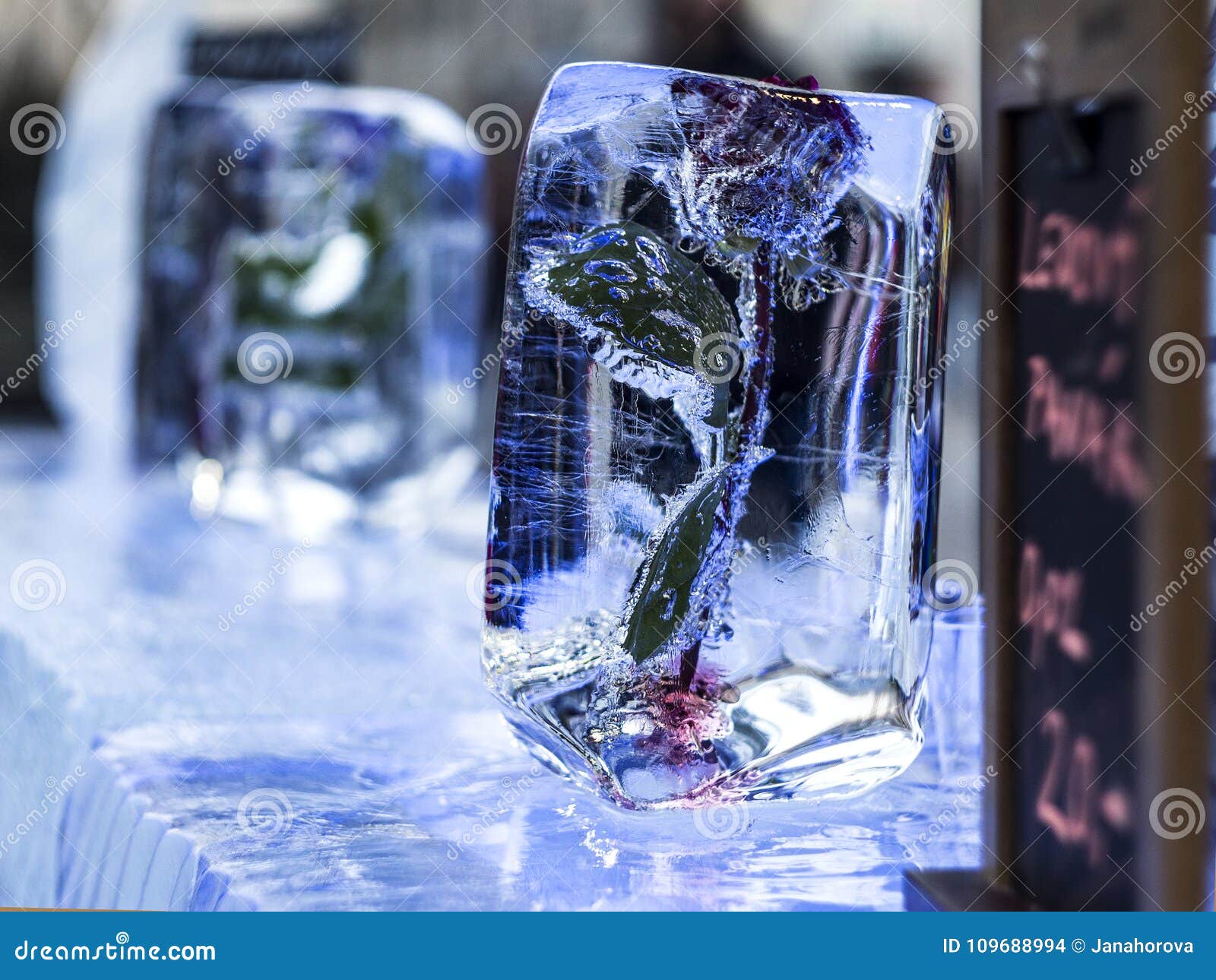 A Barra Do Gelo Com Congelado Aumentou No Gelo Foto de Stock - Imagem ...