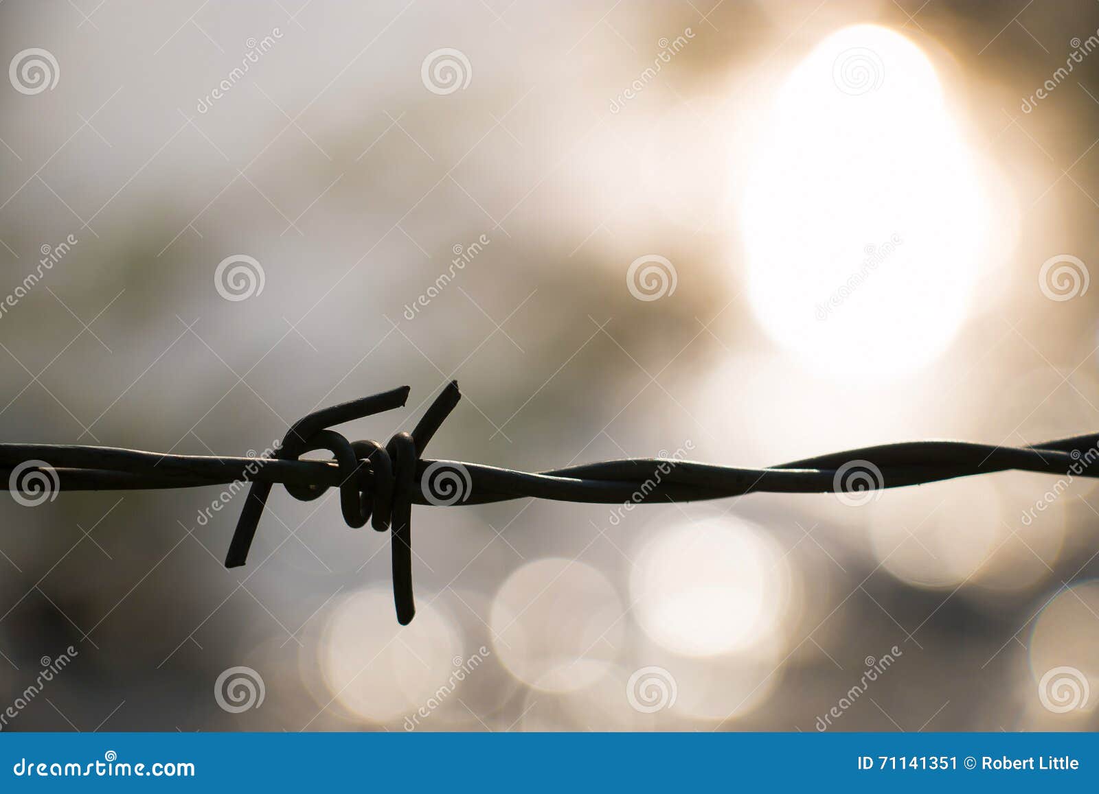 Barbed Wire Fence in Front of Light Stock Image - Image of barbs, thorn ...