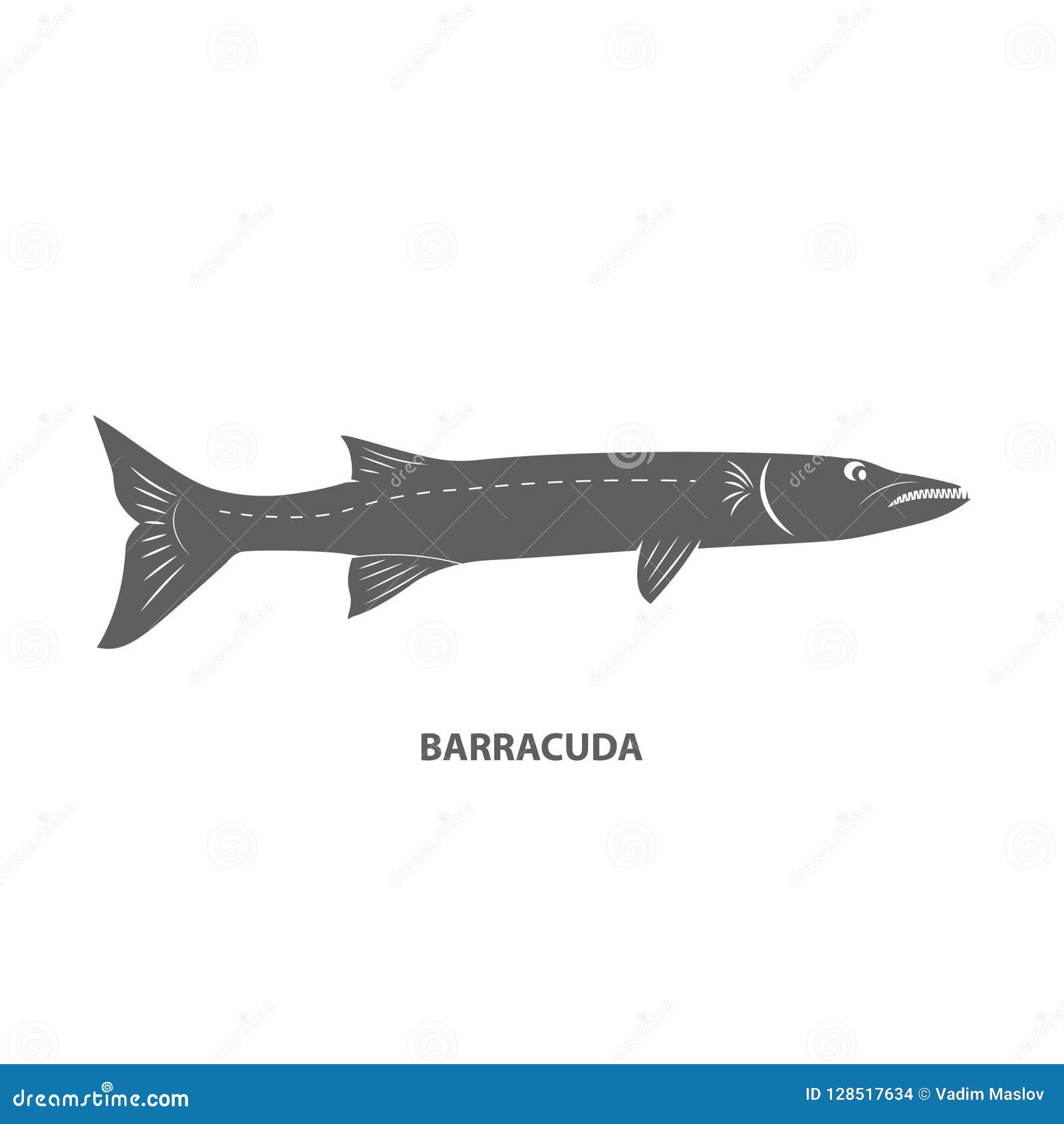 Barracuda Fish Black Icon on White Backgound. Stock Vector ...