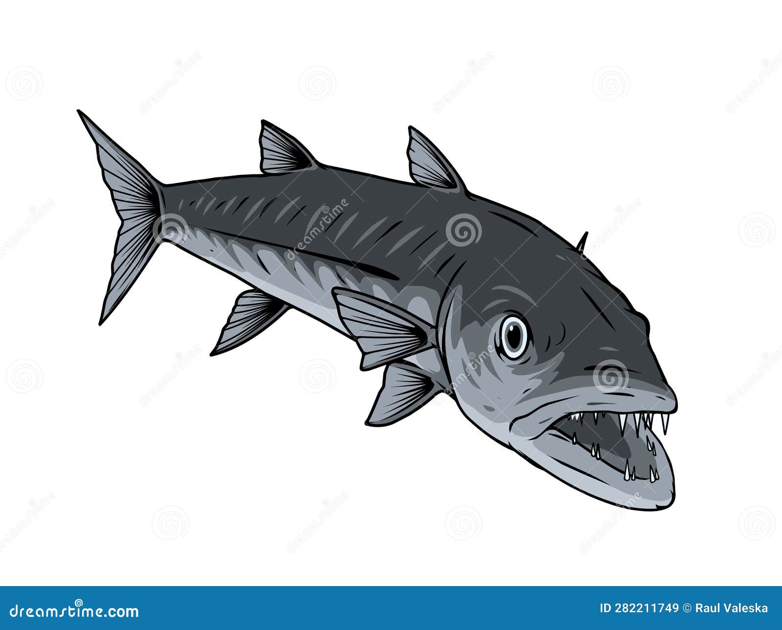 Barracuda Fish Vector Drawing Stock Vector - Illustration of underwater ...