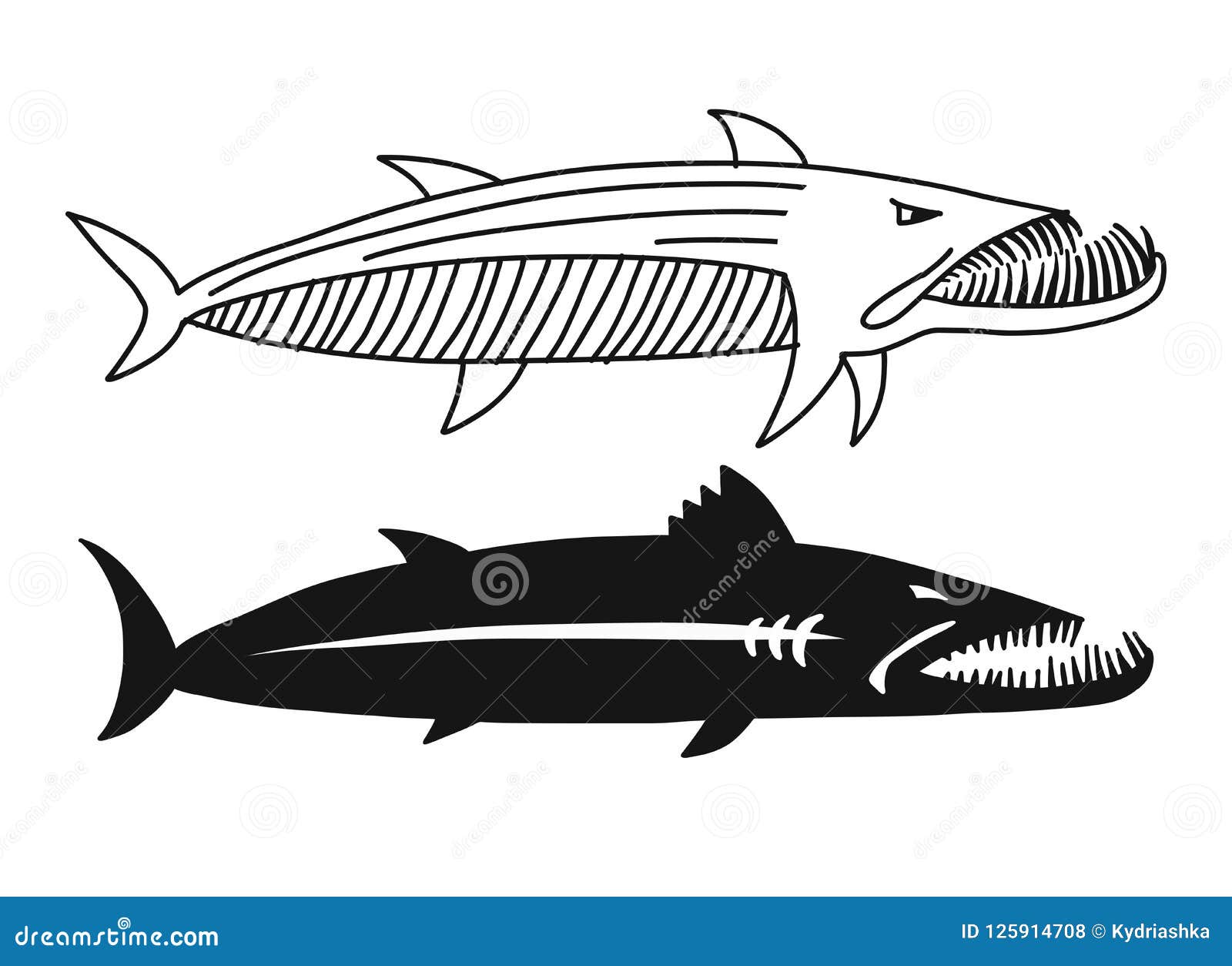 Barracuda Fish for Your Design Stock Vector - Illustration of jaws ...