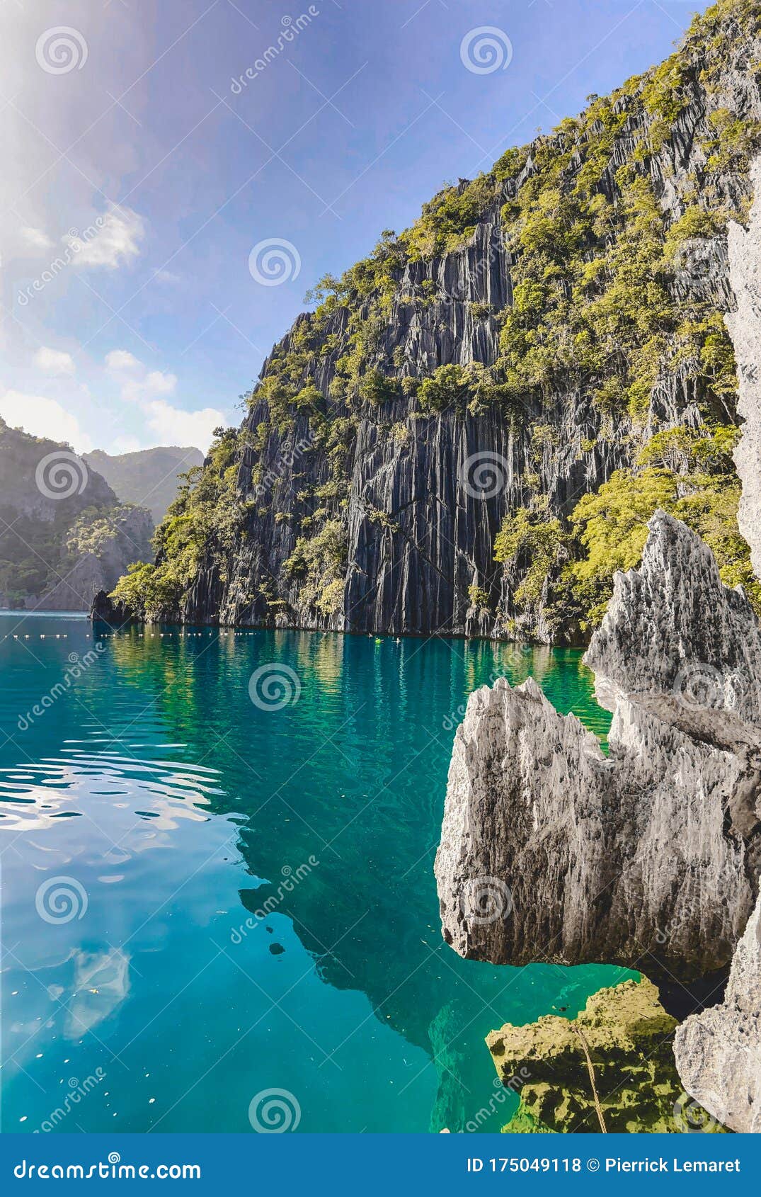 Barracuda Lake in Coron, Palawan, Philippines Stock Photo - Image of ...