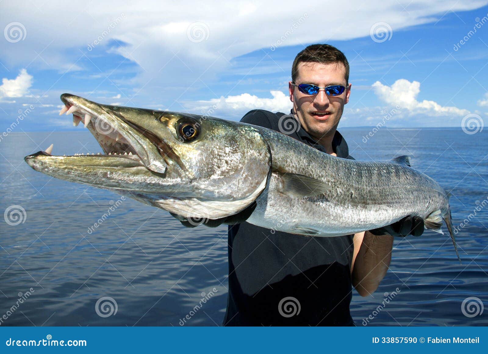 Barracuda stock photo. Image of nautical, barracuda, ocean - 33857590