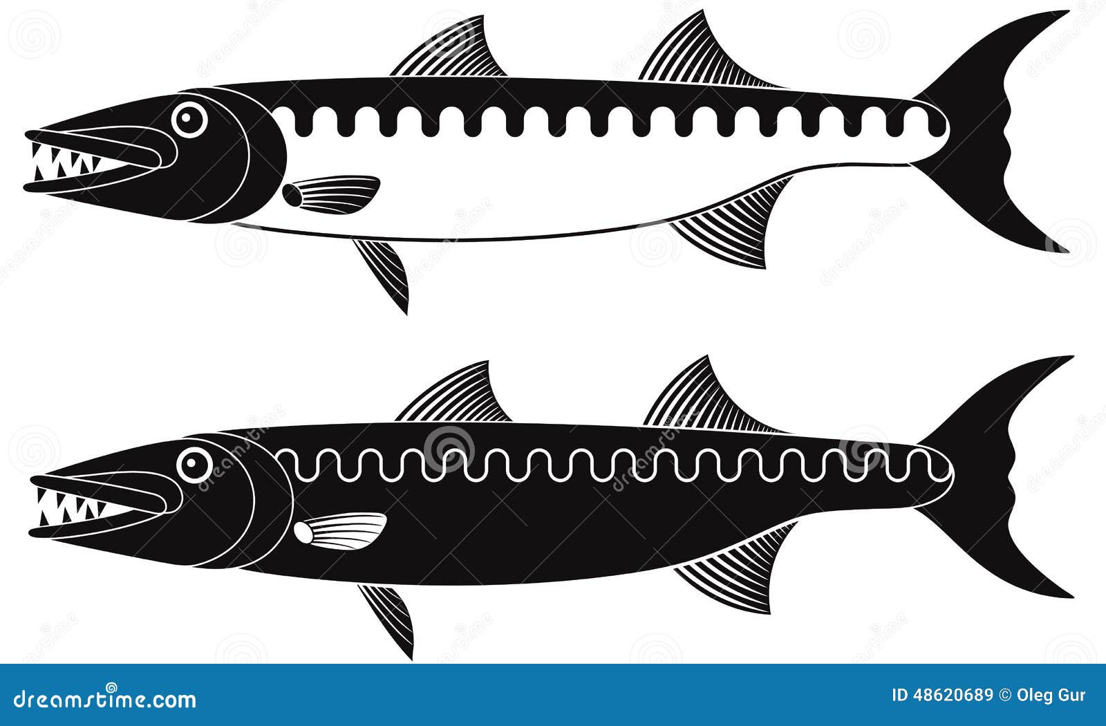 Barracuda stock vector. Illustration of fish, abstract - 48620689