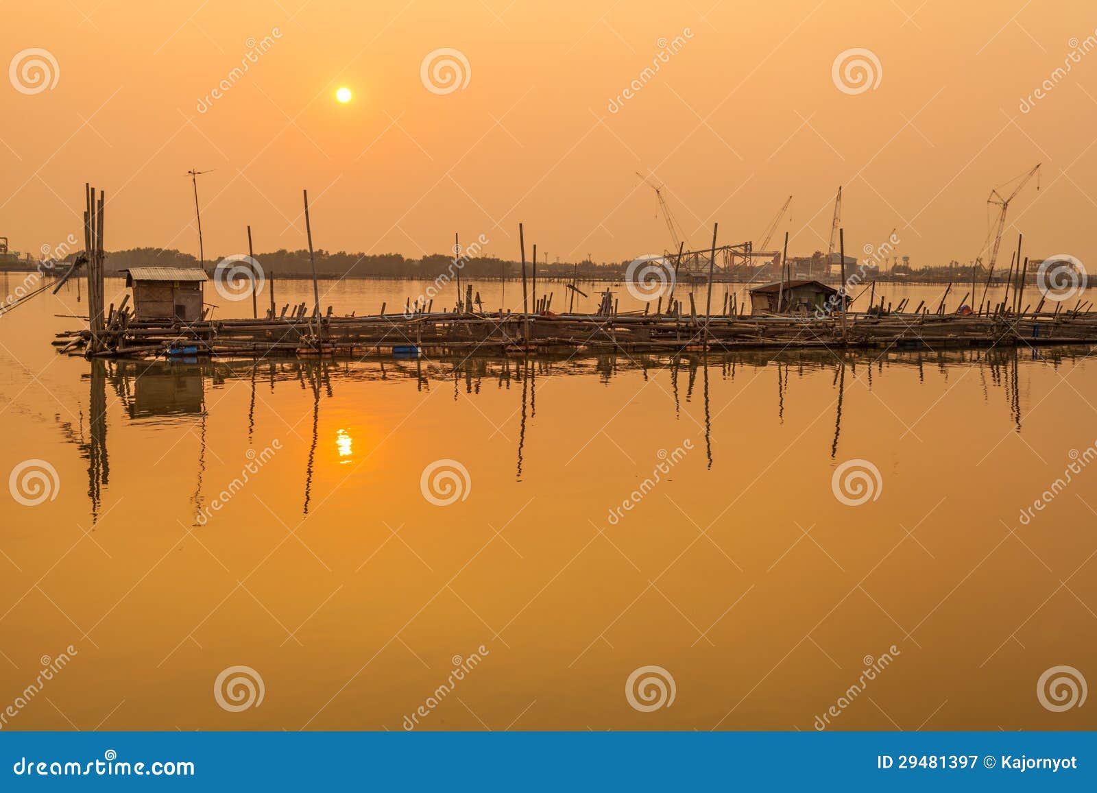 The Barramundi Fish Farm at Takham Stock Image - Image of marketplace ...