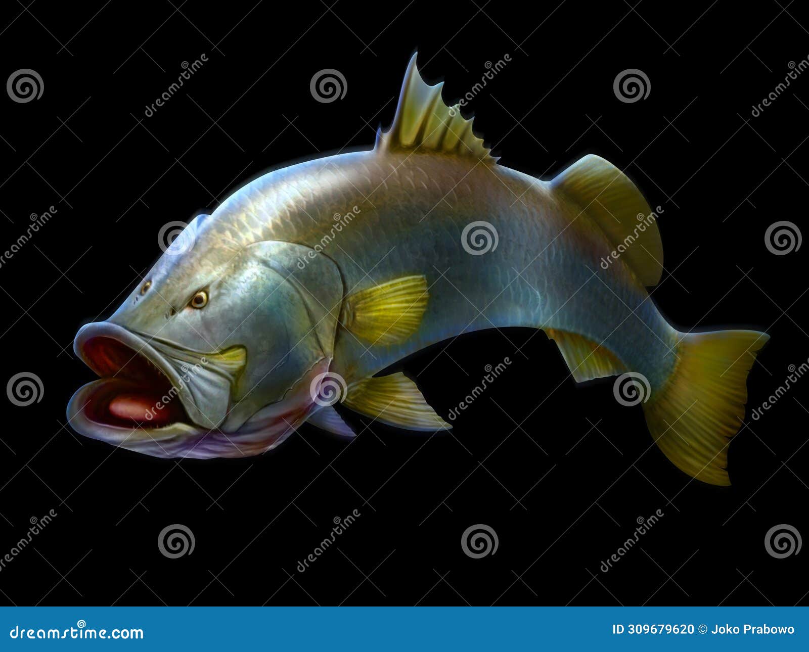 Barramundi Fish Watercolor Sketch Line Art. Vector Illustration ...