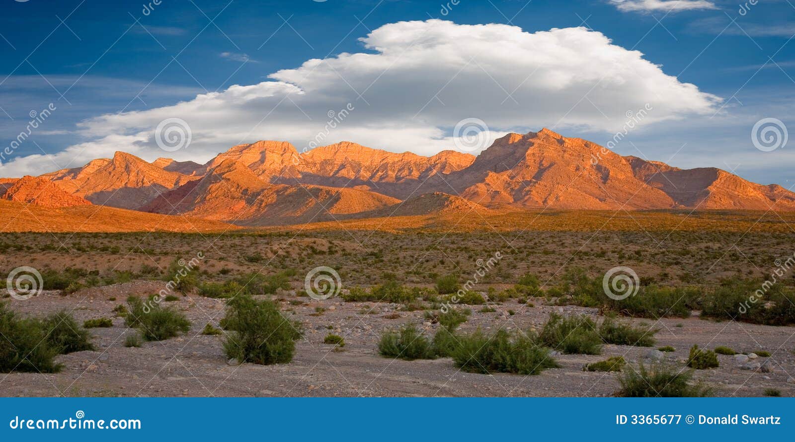 Barranca Roja De La Roca, Nevada Imagen de archivo - Imagen de ...