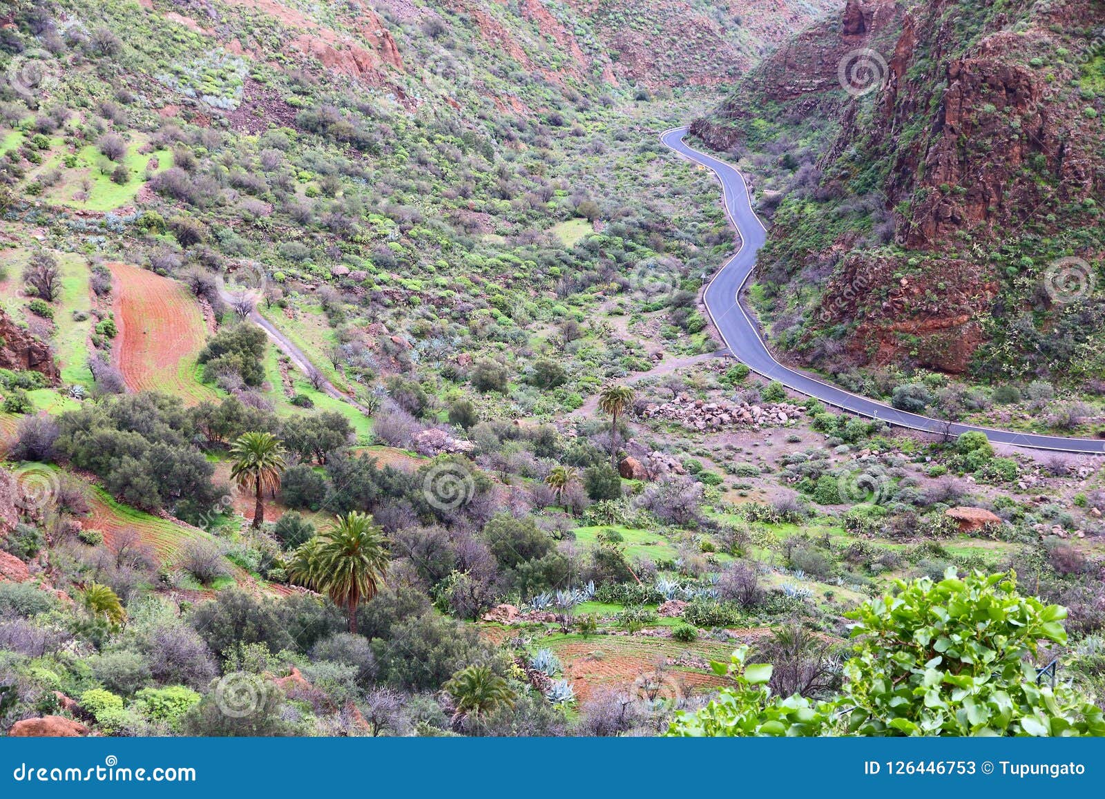 Barranco de Guayadeque imagen de archivo. Imagen de paisaje - 126446753