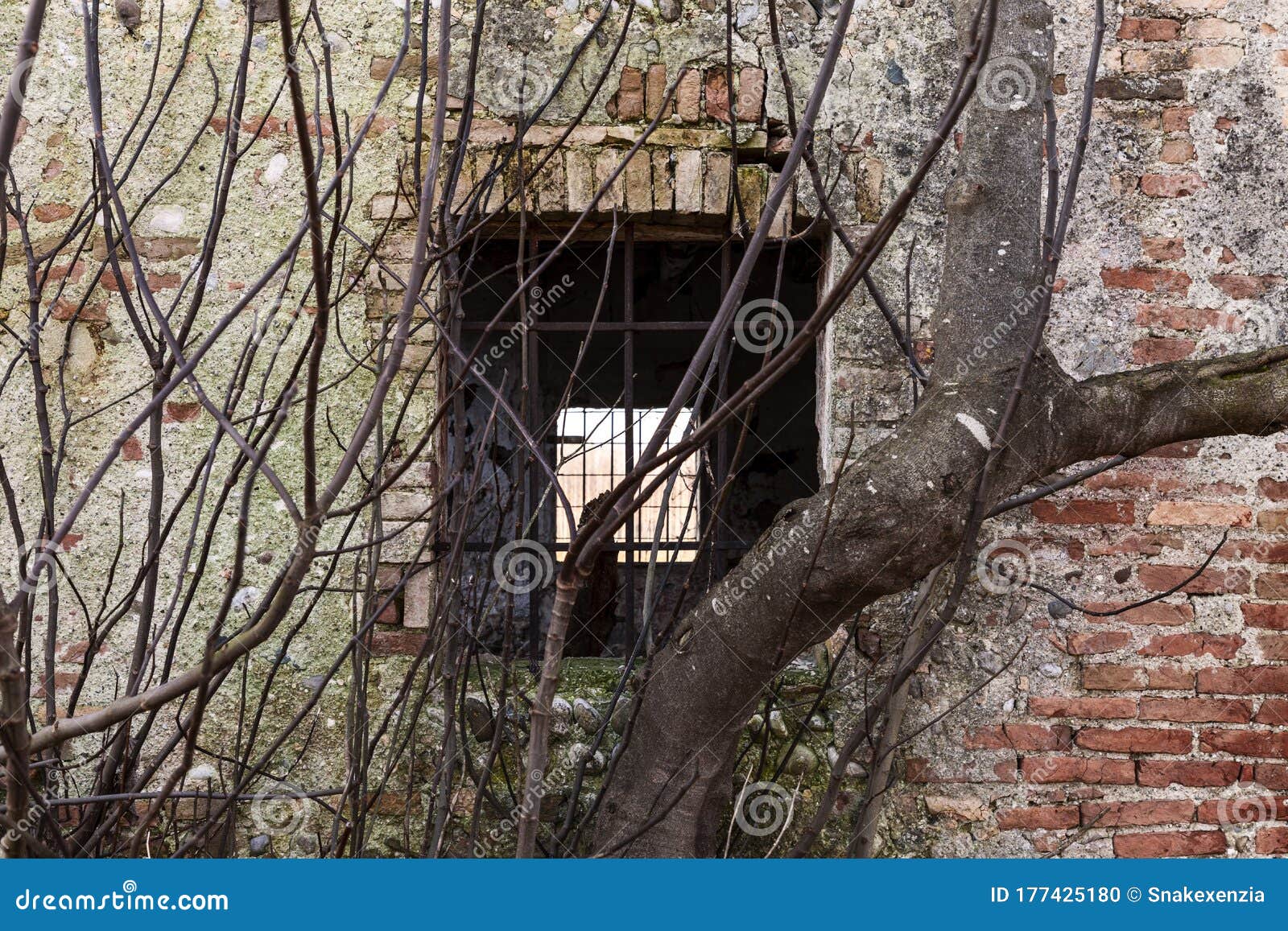 Danger Of Collapse Italian Warning Sign Stock Image | CartoonDealer.com ...