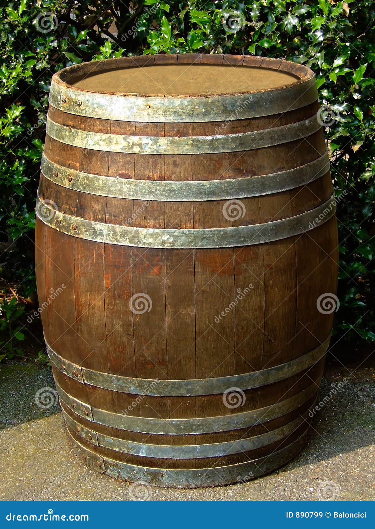 Barrel stock image. Image of metal, wooden, vine, barrel - 890799