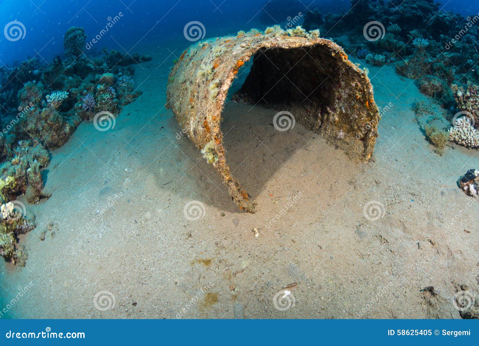 Barrel at the Bottom of the Sea Stock Image - Image of adventure, dive ...