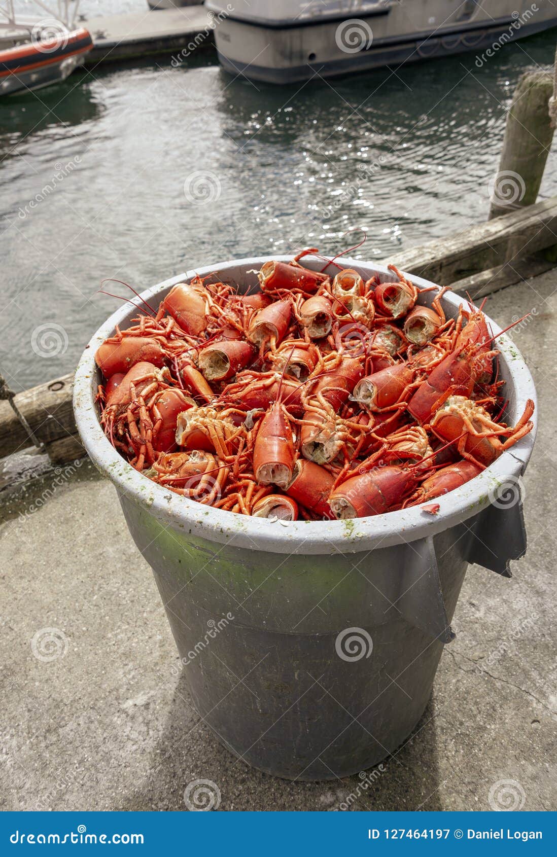 Barrel of Discarded Lobster Shells Stock Image - Image of restaurant ...