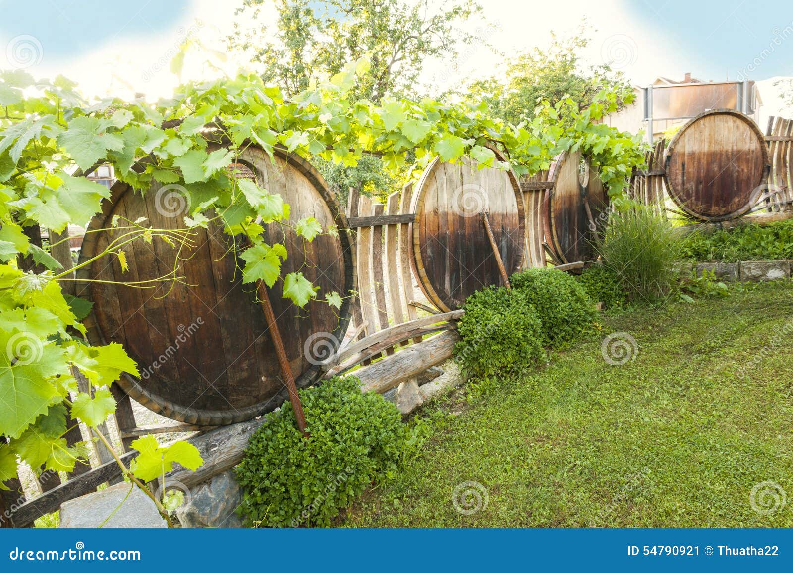 Barrel fence of a winery stock image. Image of wooden - 54790921