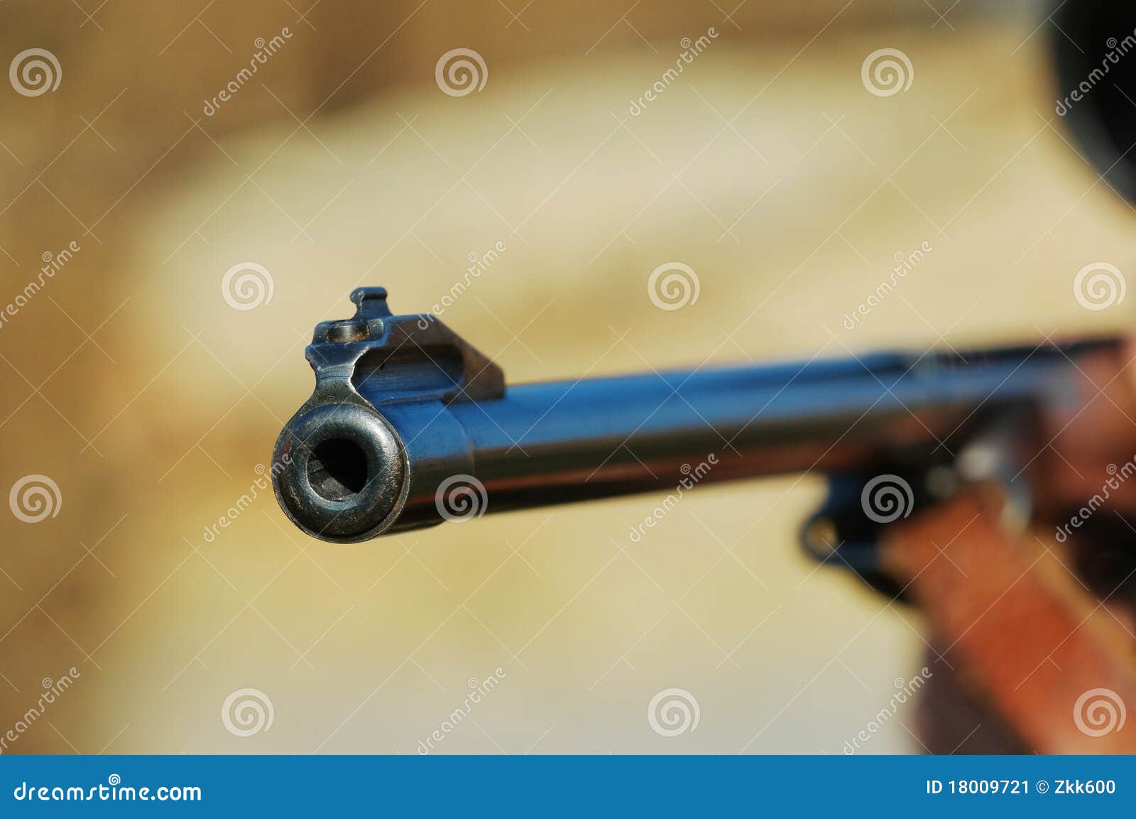 Barrel of a gun stock image. Image of weapon, attempt - 18009721