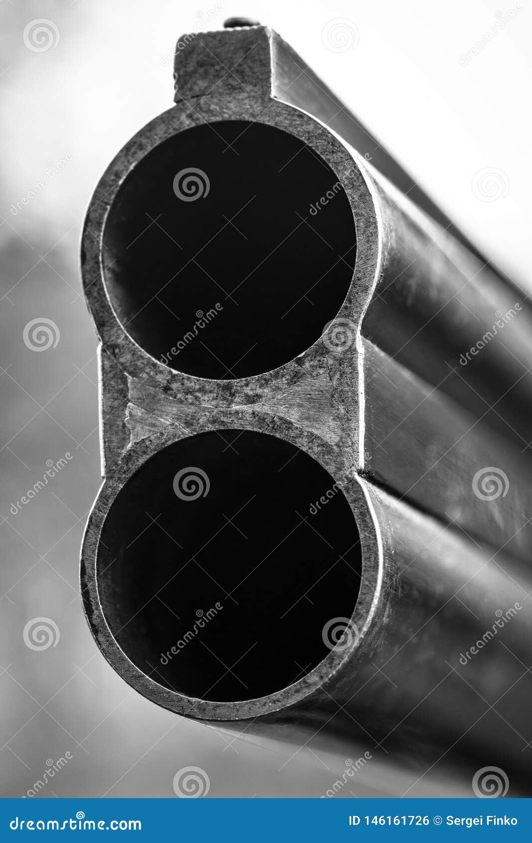 Barrel hunting rifle stock photo. Image of leisure, assassin - 146161726