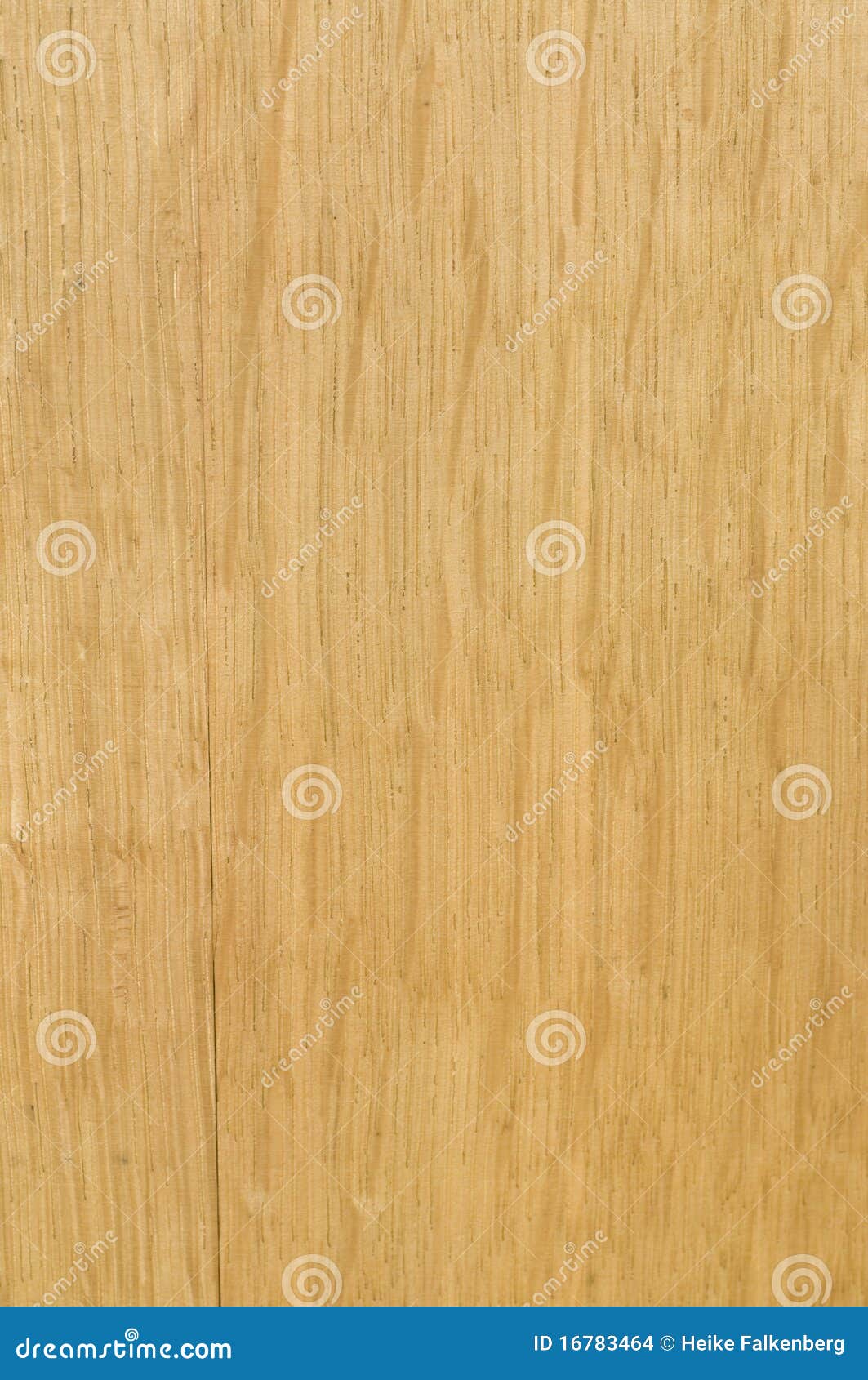 Barrel Oak Texture stock photo. Image of timber, barrel - 16783464