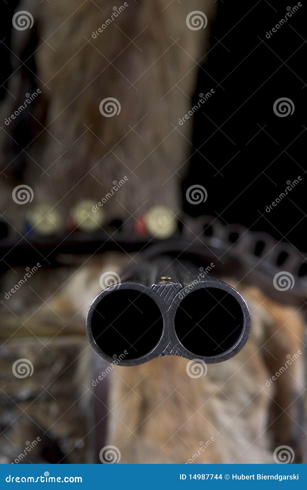 Barrel of shotgun stock photo. Image of double, circular - 14987744
