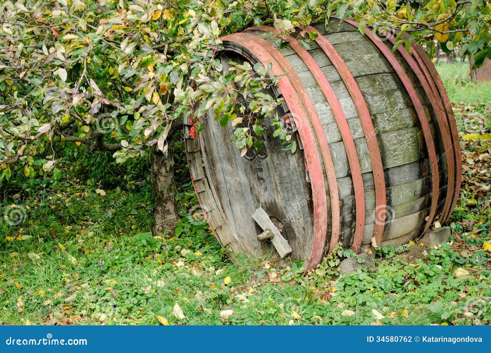 Barrel stock photo. Image of garden, drink, outside, grapes - 34580762