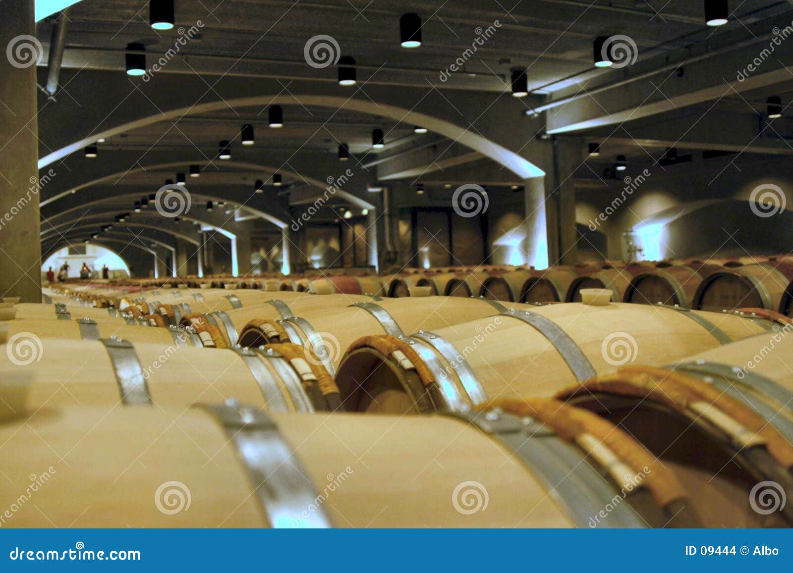 Barrels stock photo. Image of barrel, producer, conservation - 9444