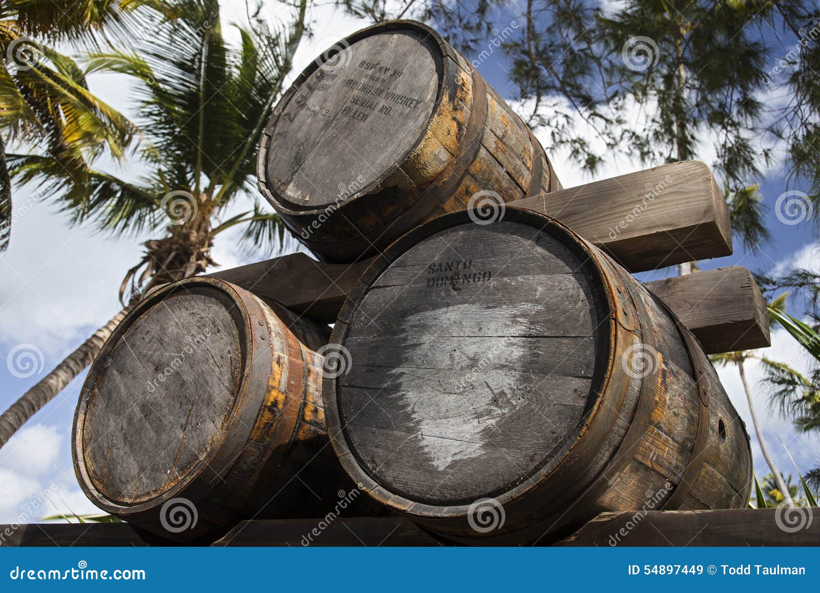 Barrels of alcohol stock image. Image of whiskey, palm - 54897449
