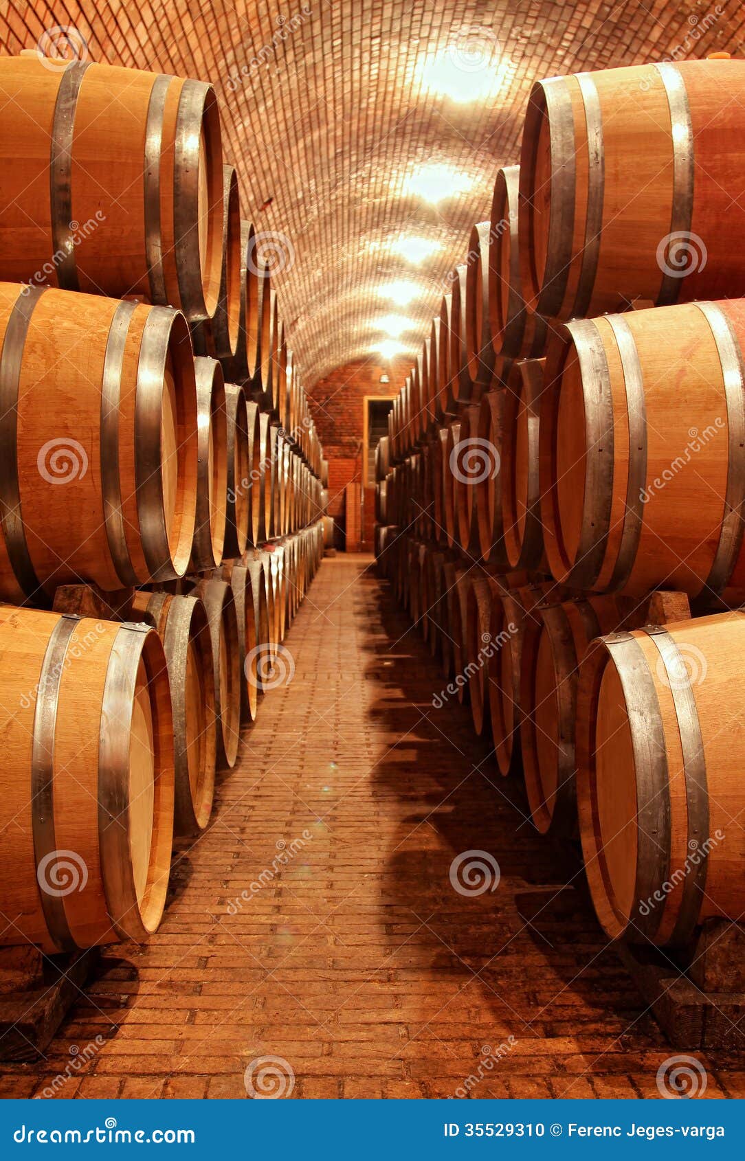 Barrels in a row stock photo. Image of choice, brown - 35529310