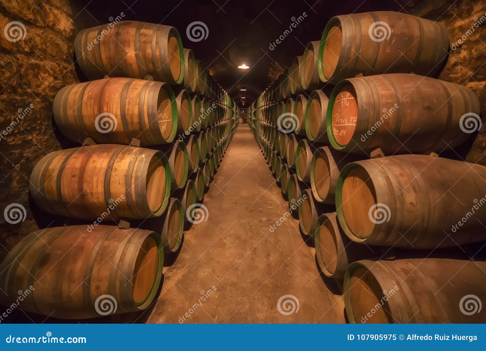 Barrels Row in a Rioja Winery Editorial Image - Image of taste, vine ...