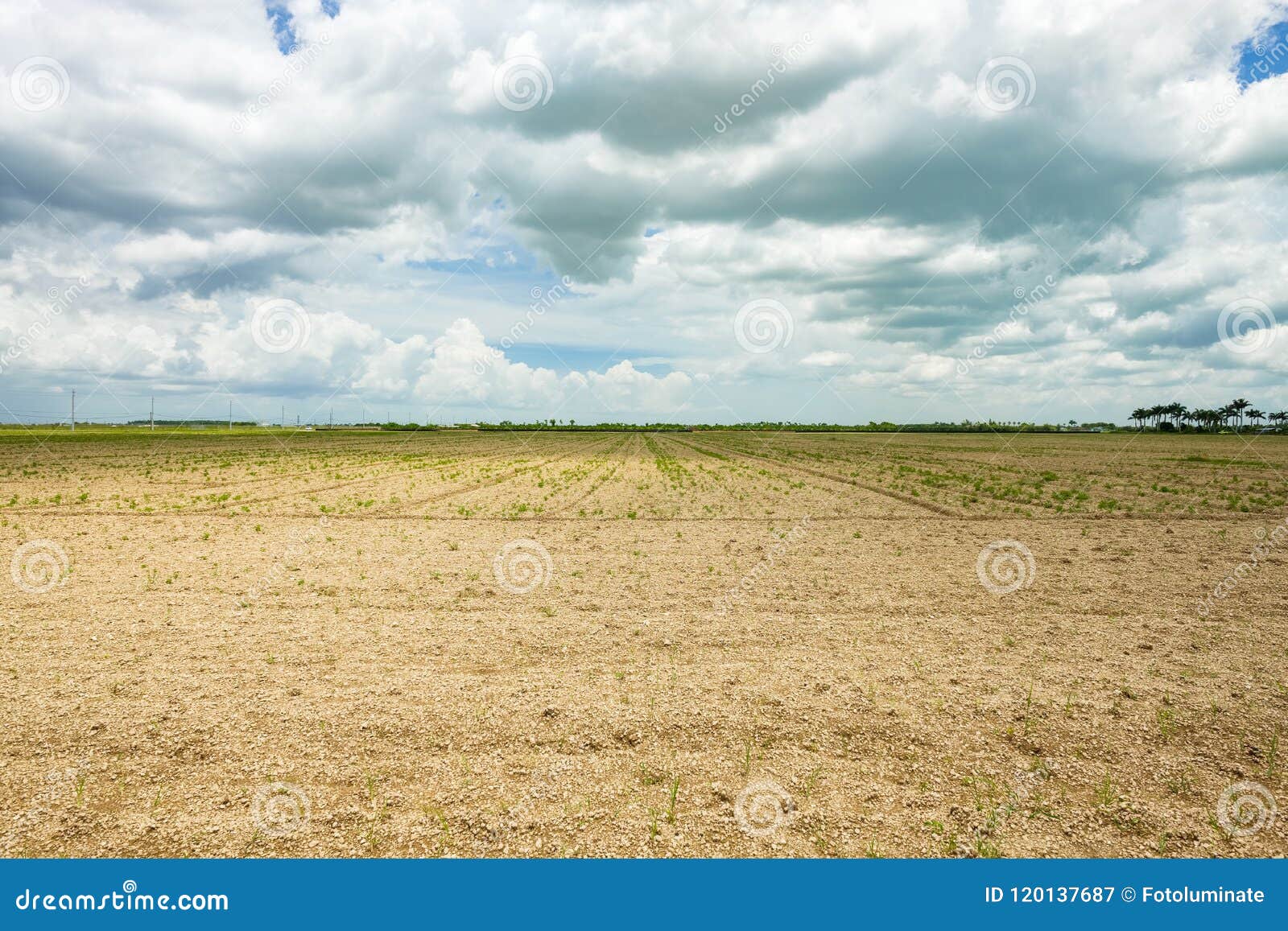 Barren agriculture field stock image. Image of nutrition - 120137687